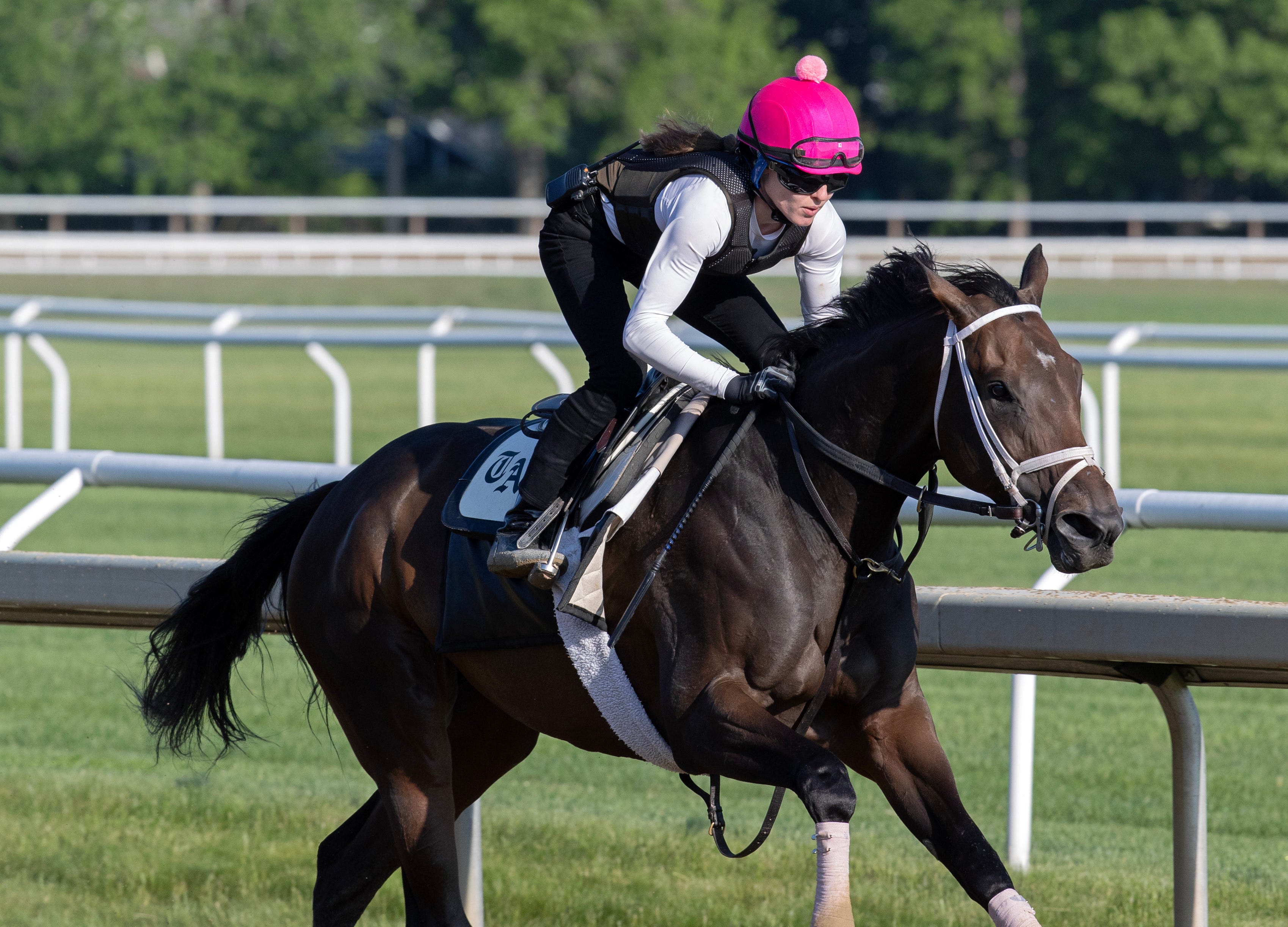 Tizzy in the Sky back on favorite track in Go for Wand