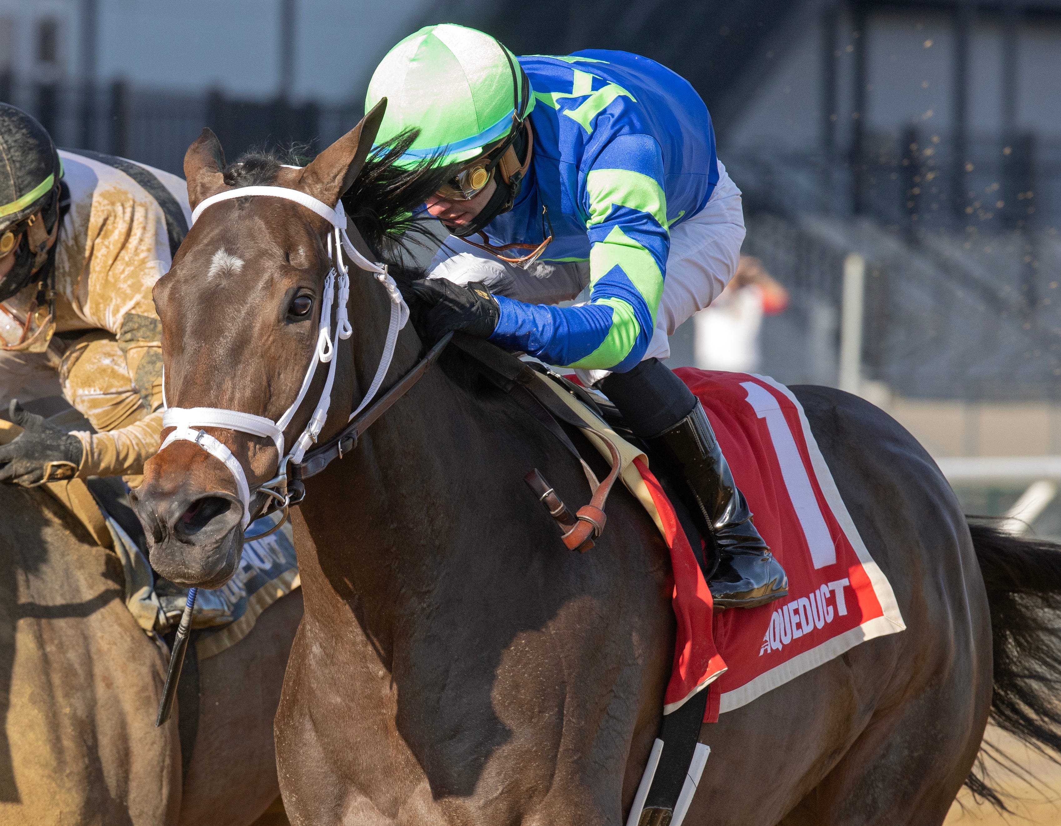 Prat's great year continues as Tizzy in the Sky wins at Aqueduct again