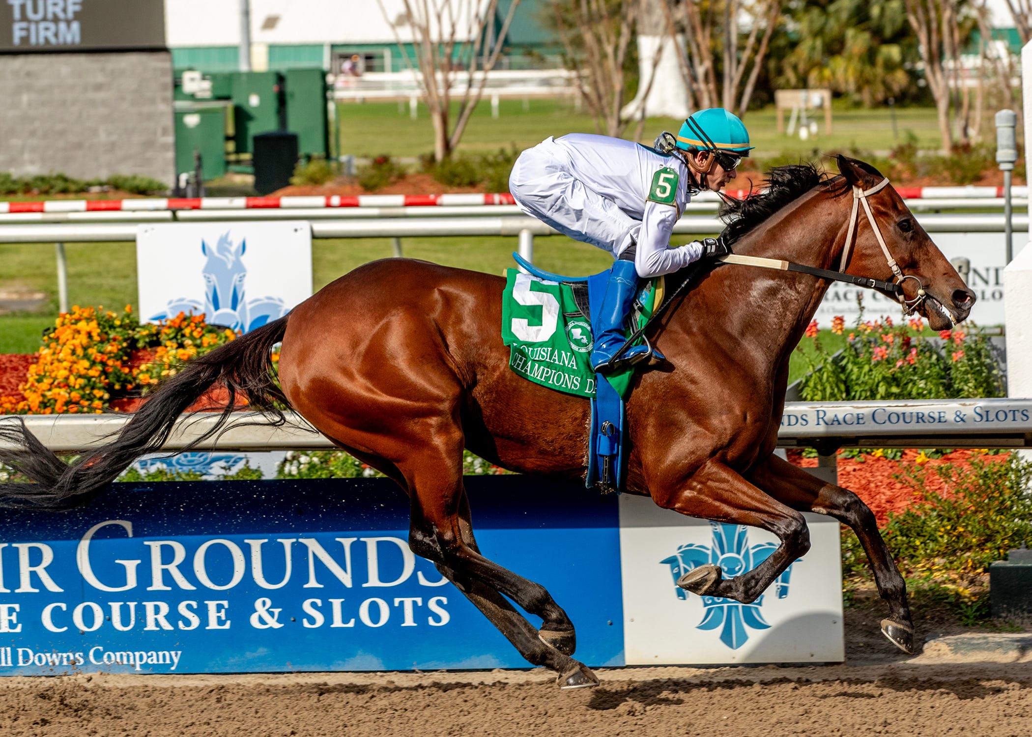 Touchuponastar cruises to three-peat in Louisiana Champions Day Classic