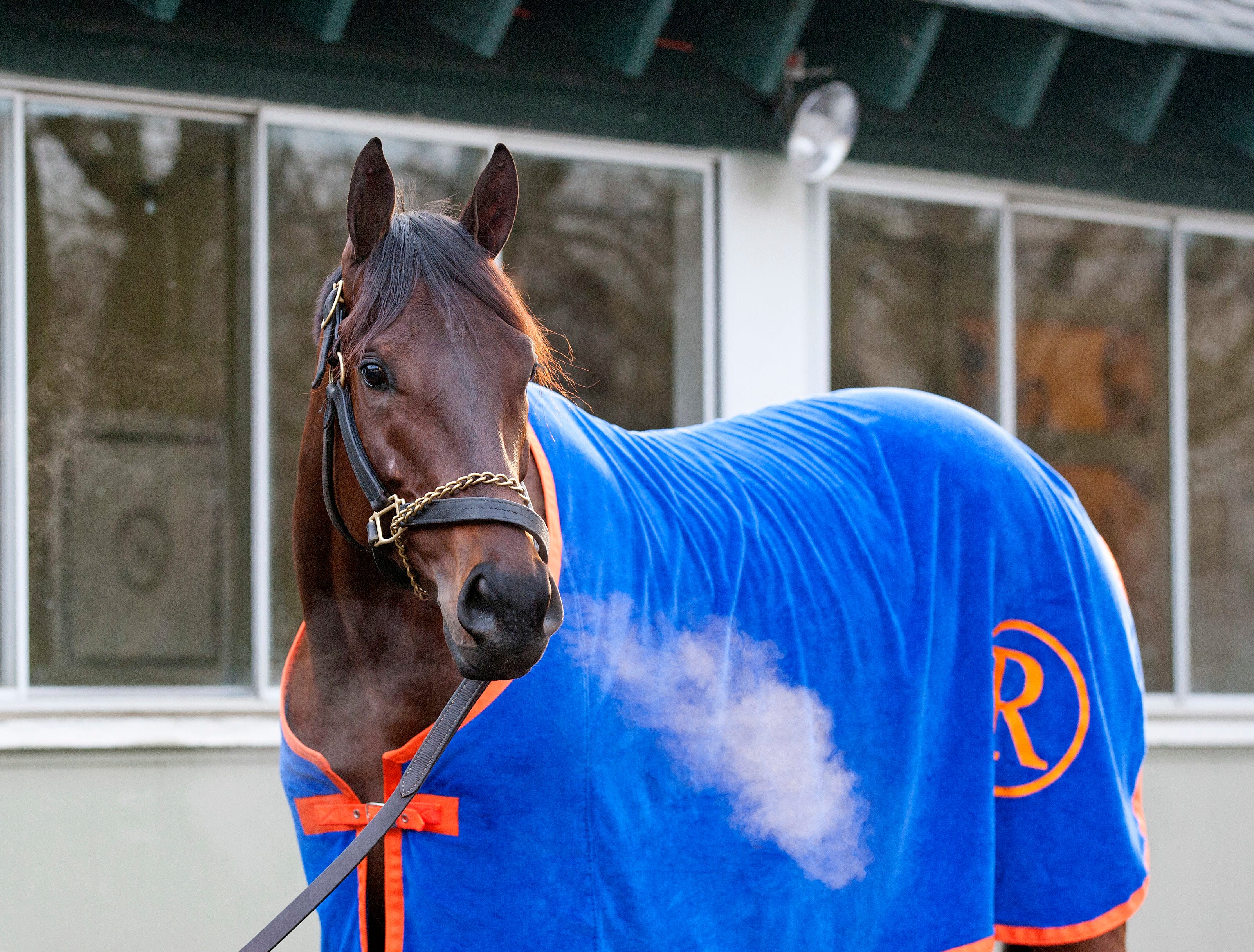 Uncle Mo left his mark on Thoroughbred racing