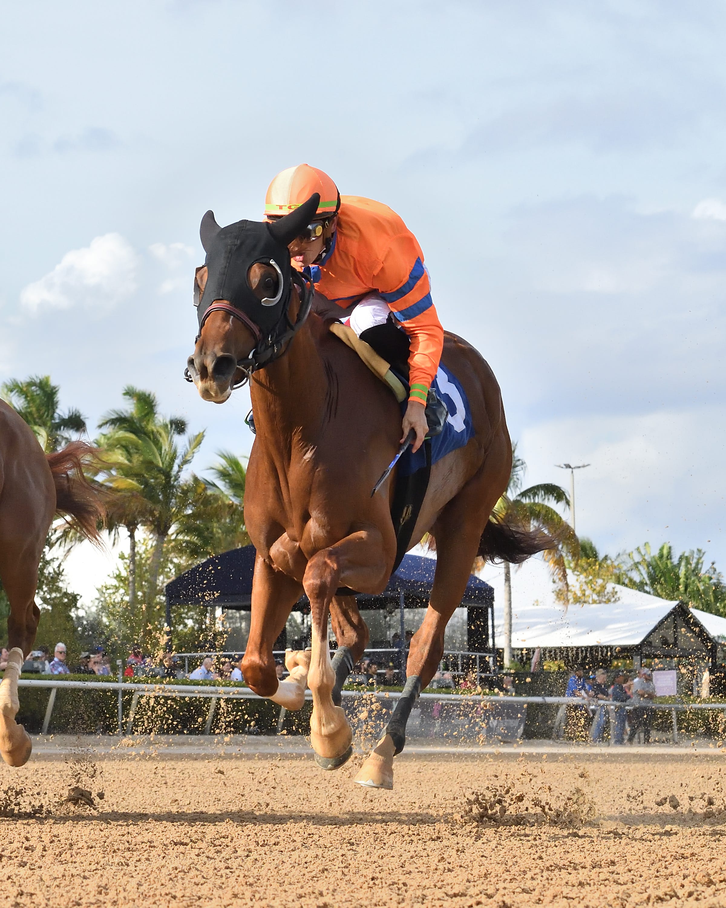Windy Walk steals Rampart on the front end