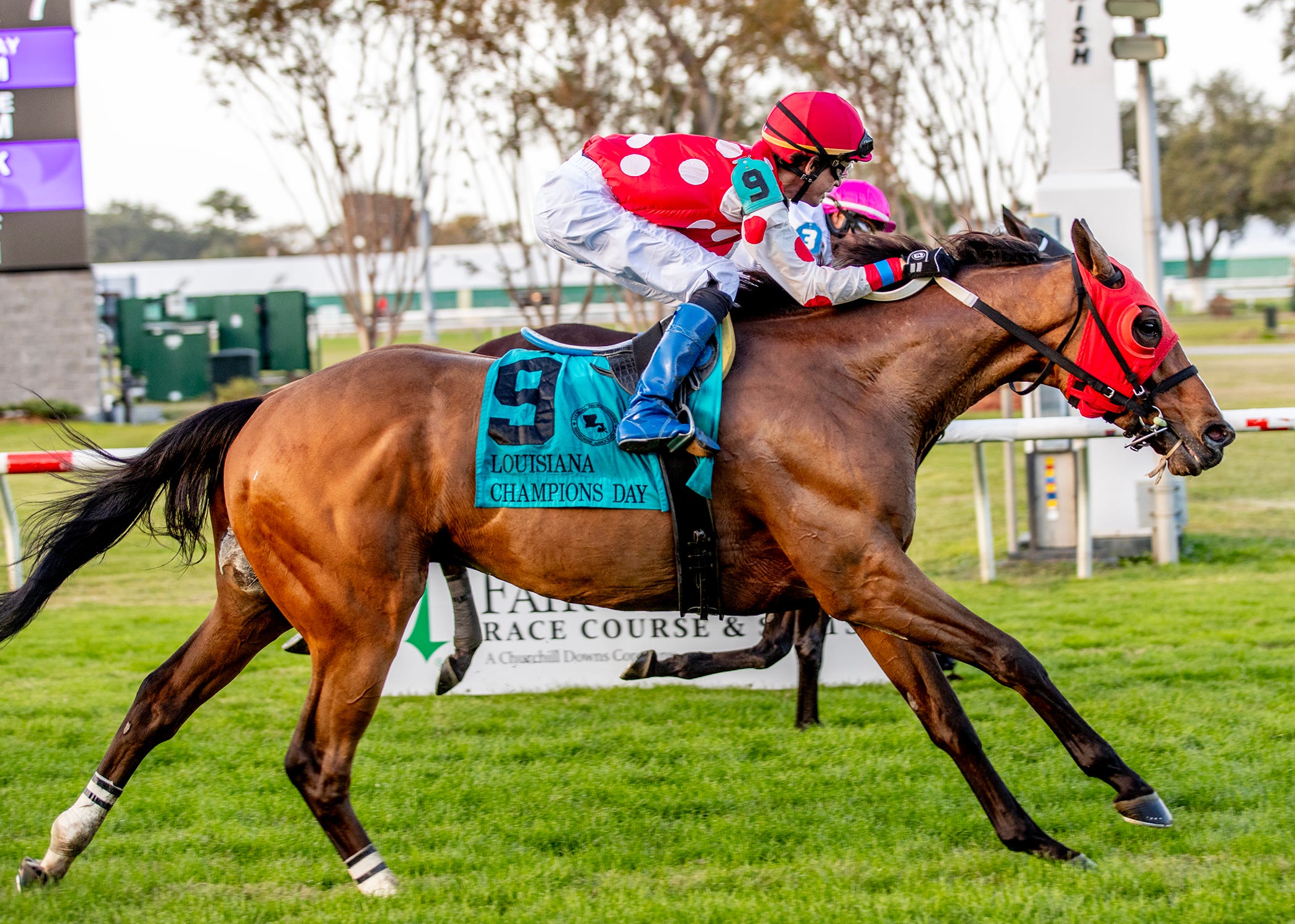 Woods N Water noses Behemah Star to take Louisiana Champions Day Turf