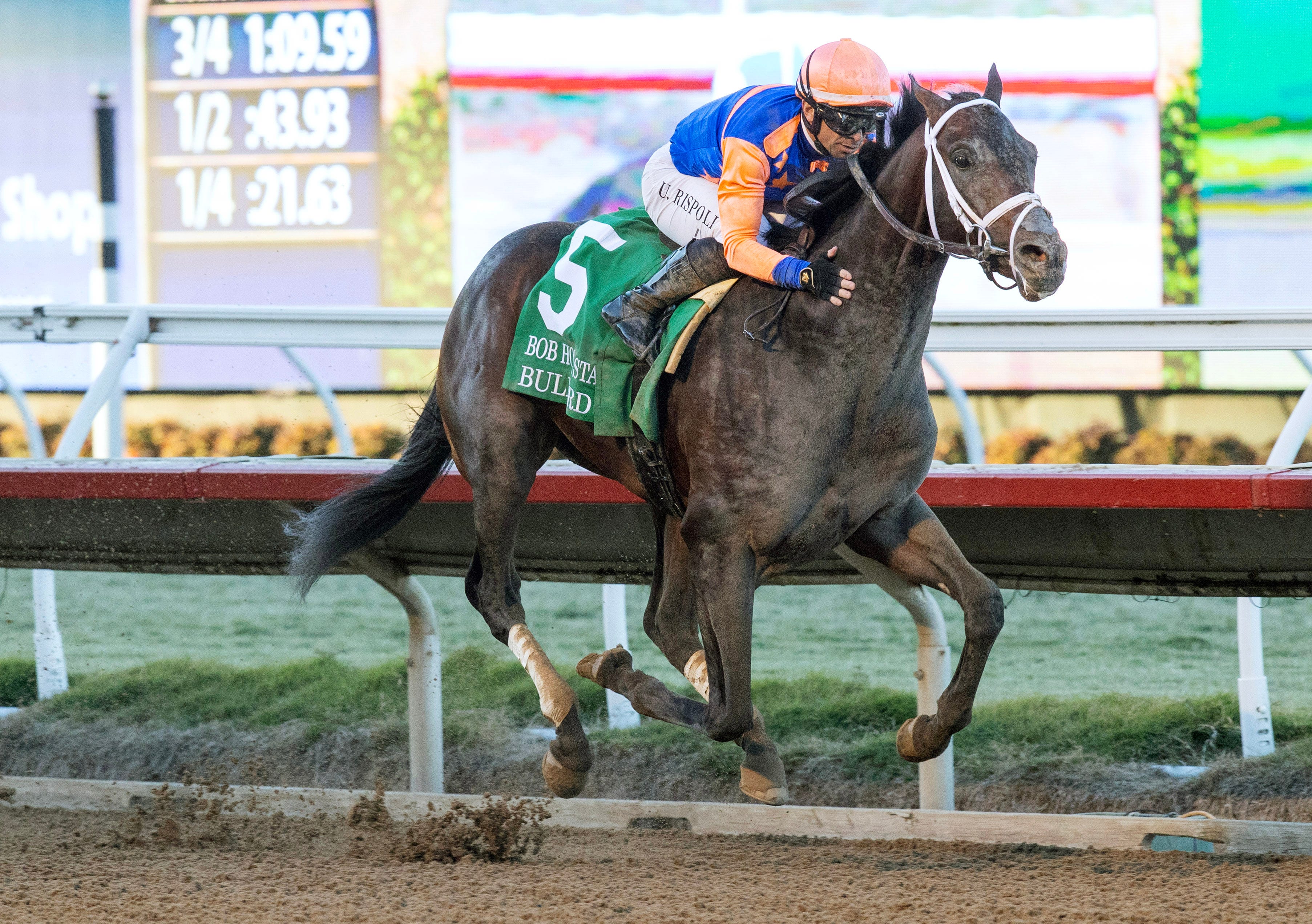 Bullard a short price but no lock in five-horse San Vicente