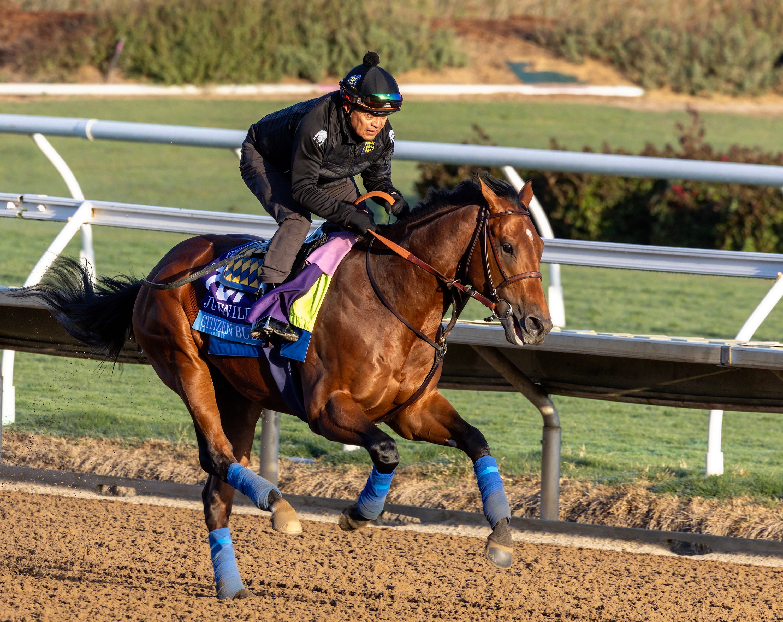 Baffert has stable ready to go, with Citizen Bull leading the way