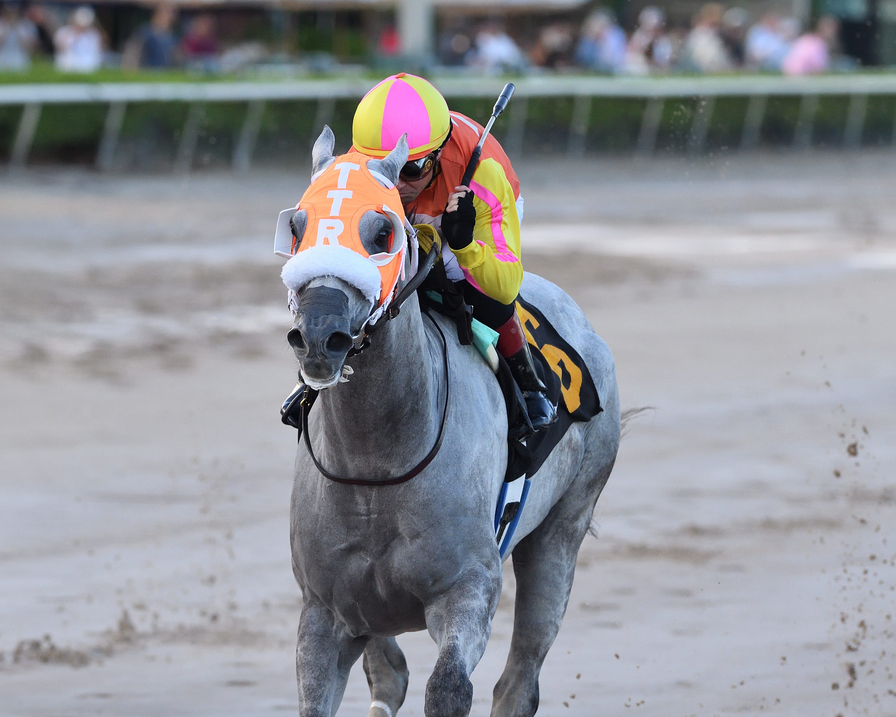 Open stakes winners tackle Florida-breds in Sunshine Sprint