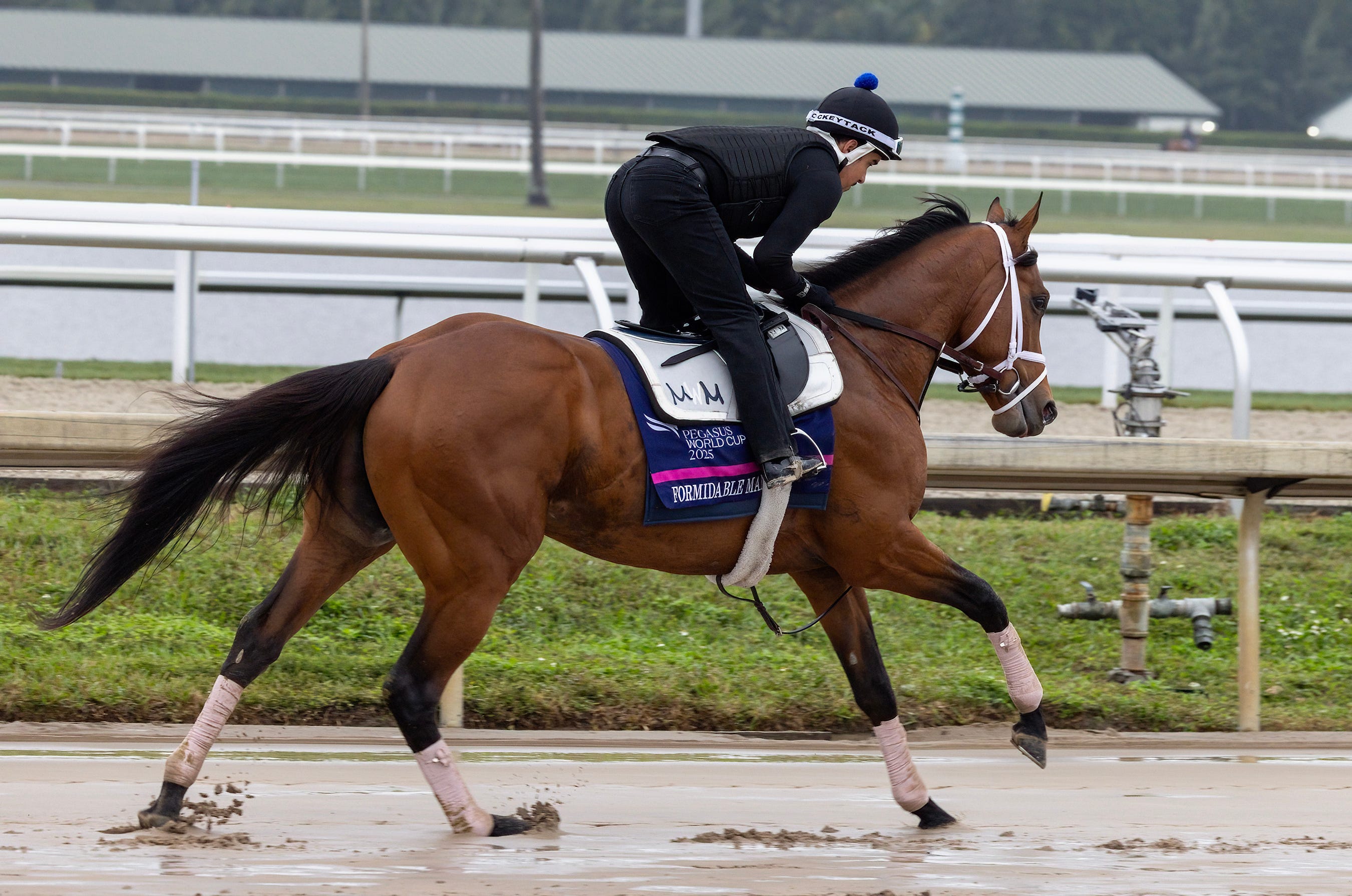 Formidable Man the young tough of Pegasus World Cup Turf