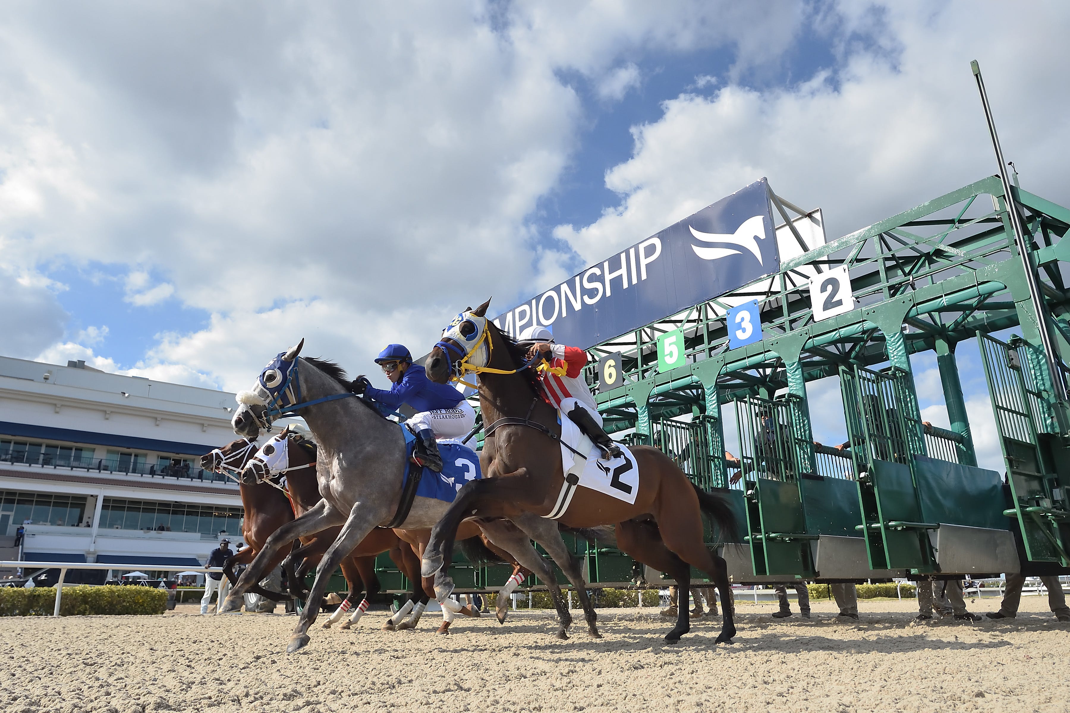 DRF's Horse Racing Playbook for Thursday, March 13, 2025