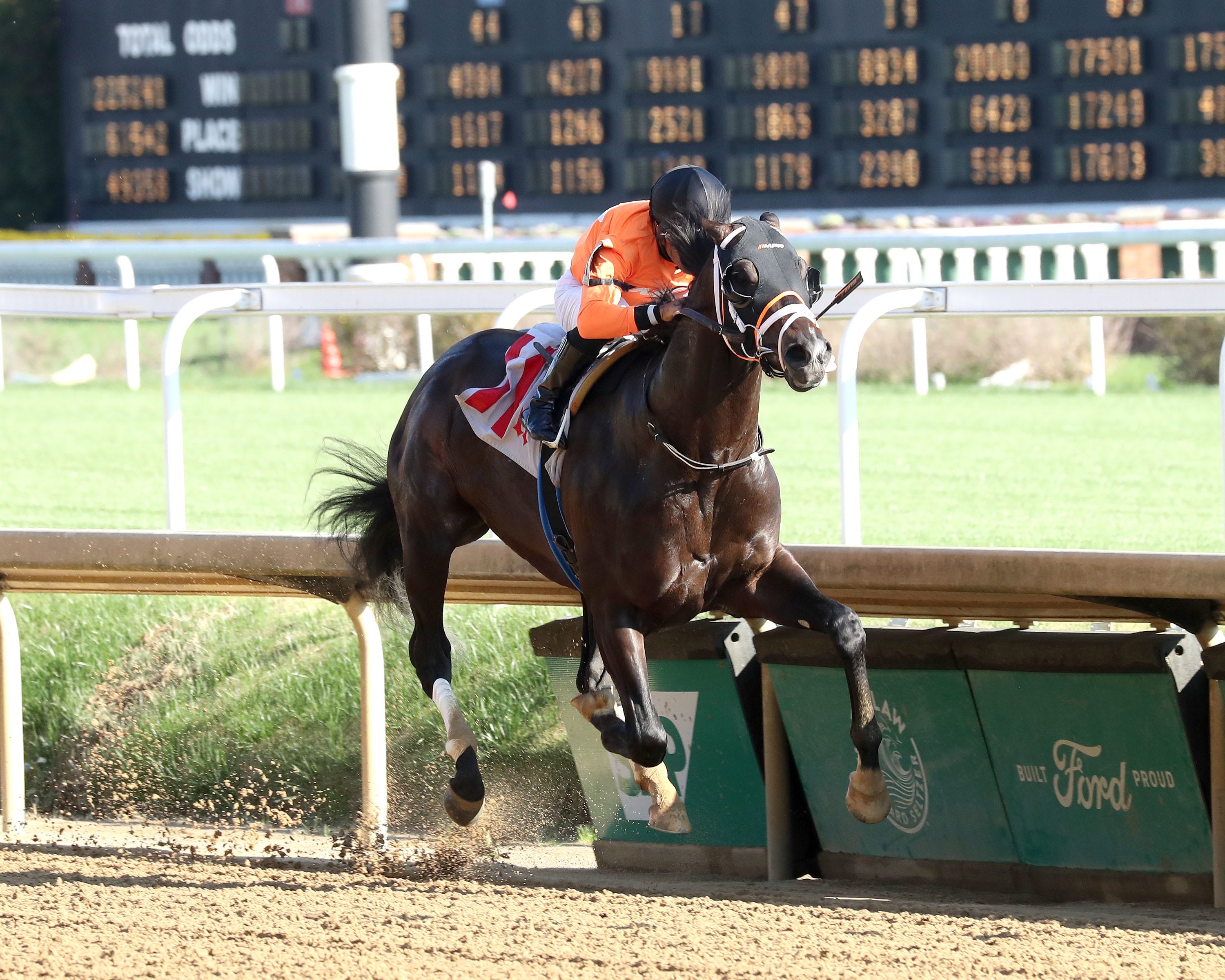 Guns Loaded will be tested early in deep Mucho Macho Man Stakes