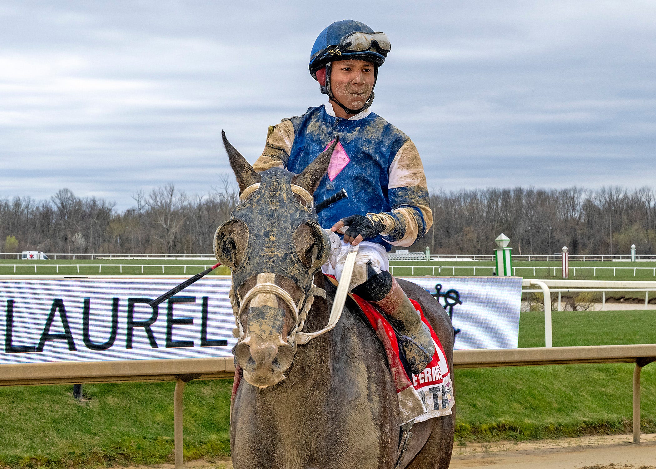 2024 Eclipse Awards: J.G. Torrealba