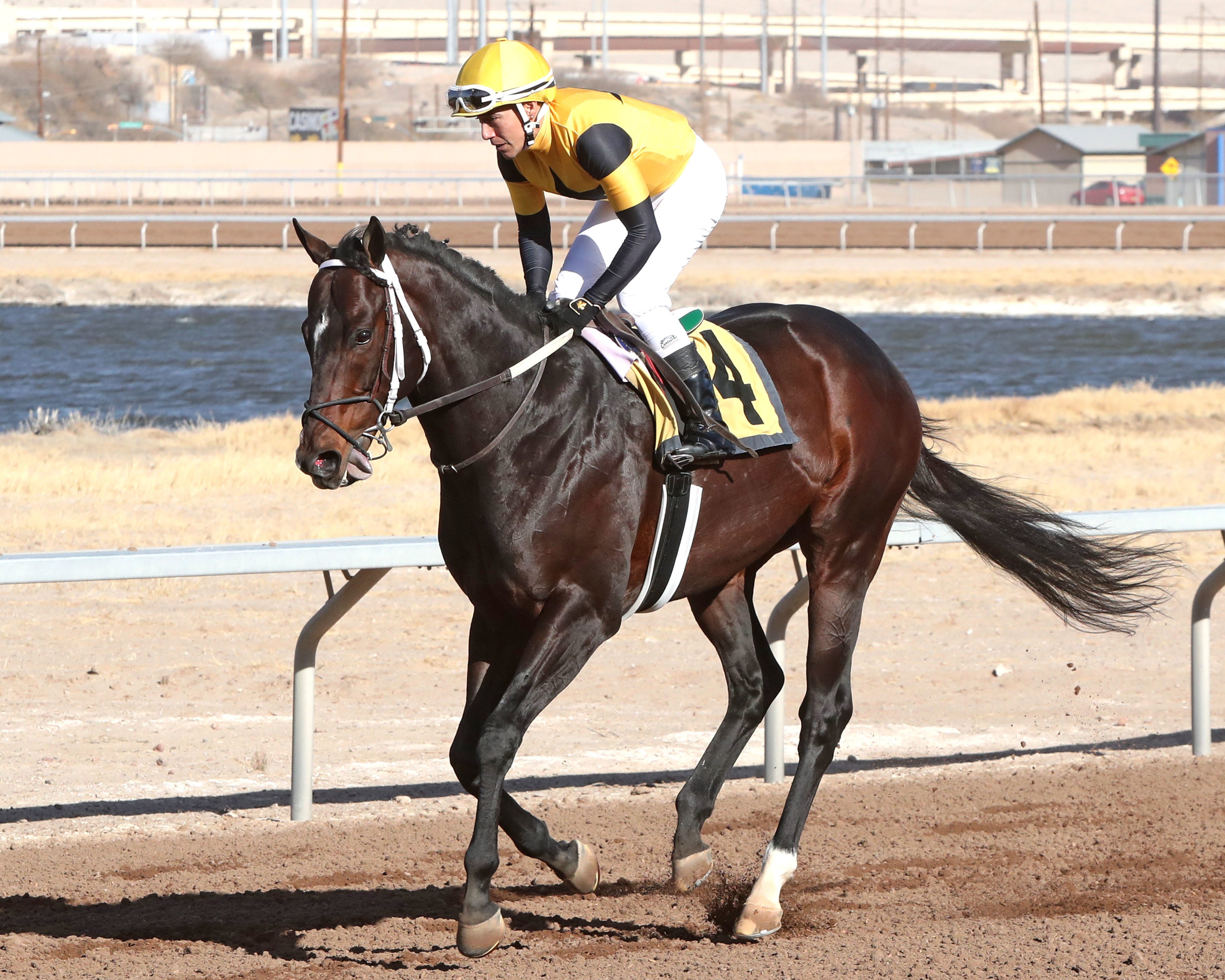Jaxon Traveler pointed toward Bill Thomas repeat bid