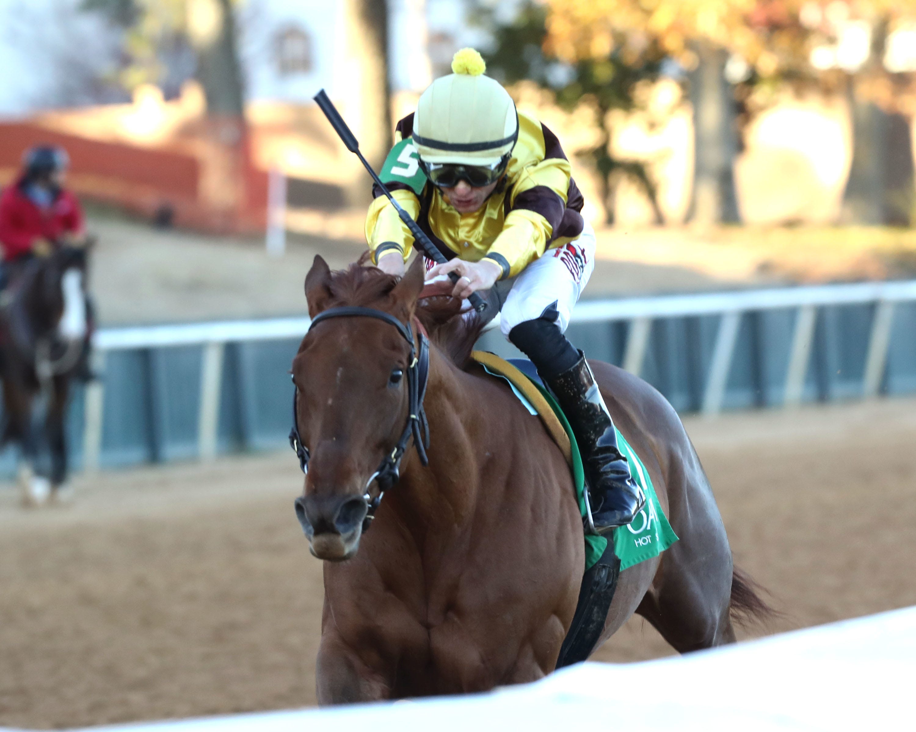 Plans for Jenkin undecided after Year's End victory