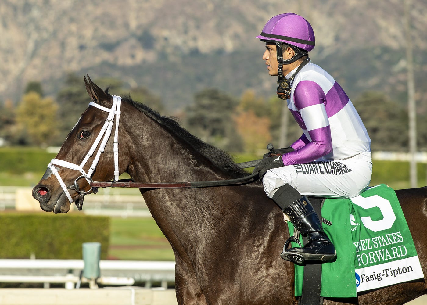 Reddam confident he has an Oaks runner in Look Forward