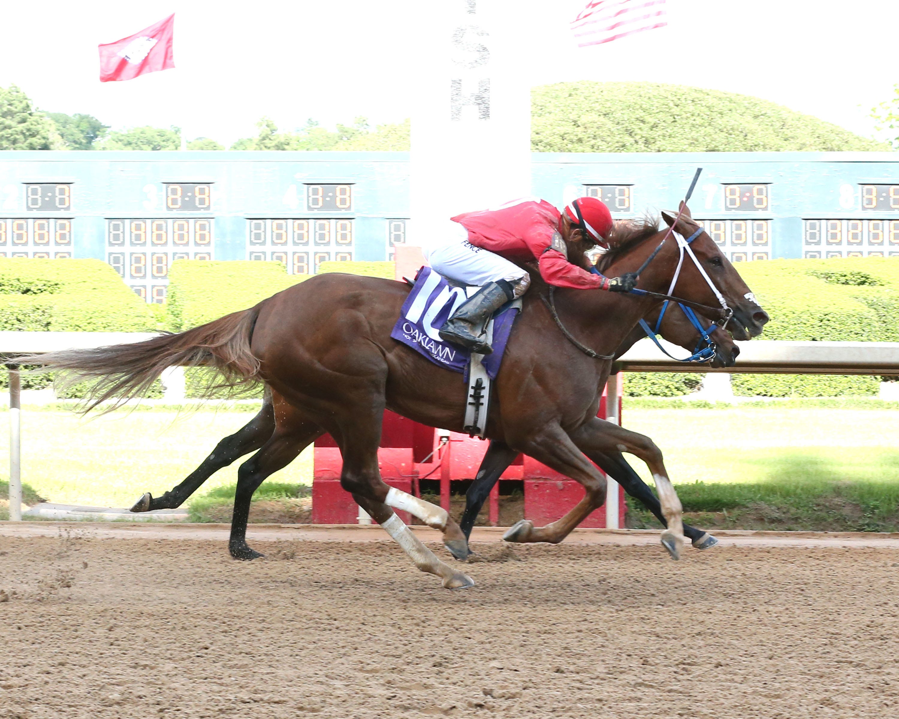 My Friend Amy, Erik Asmussen team again in sprint