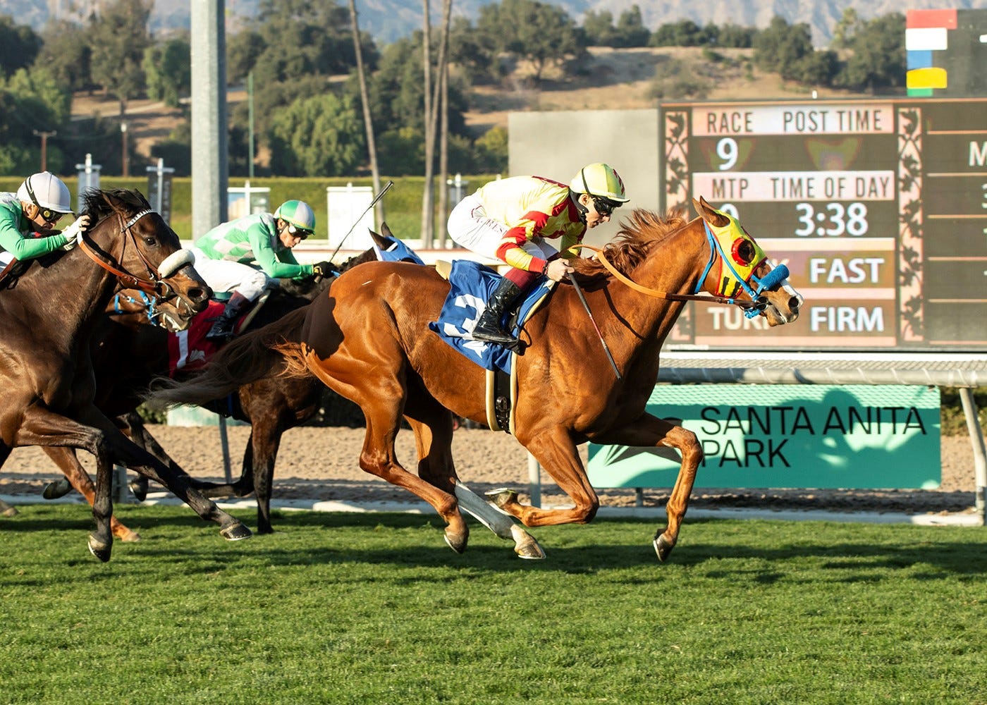 Old Pal delivers as favorite in Unusual Heat