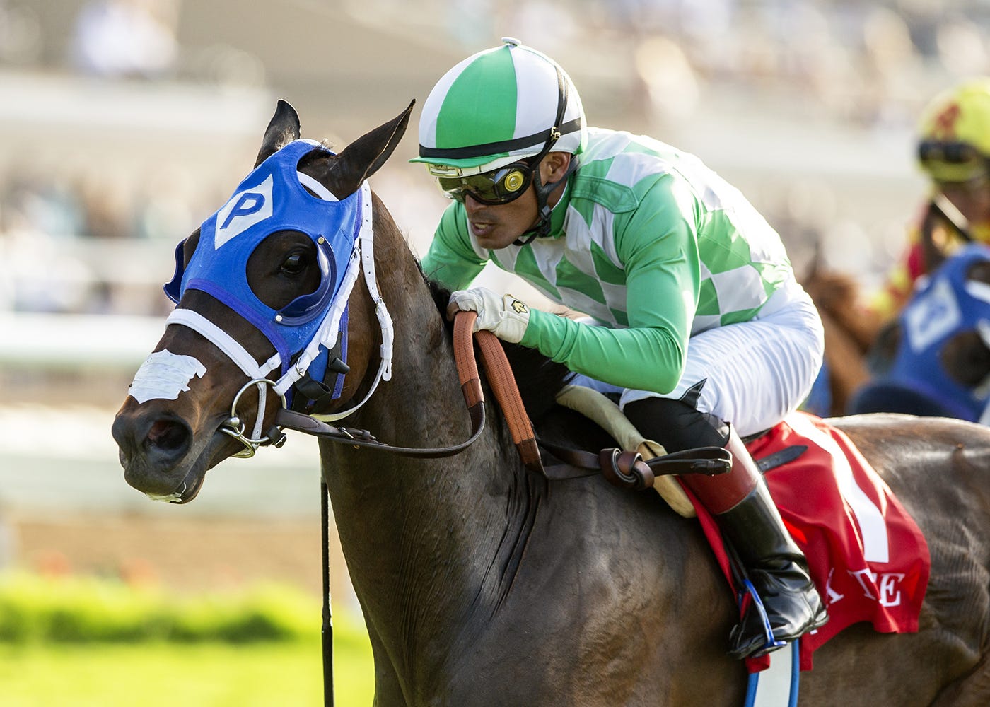 On the Whim will try to fend off closers in Unusual Heat Turf Classic