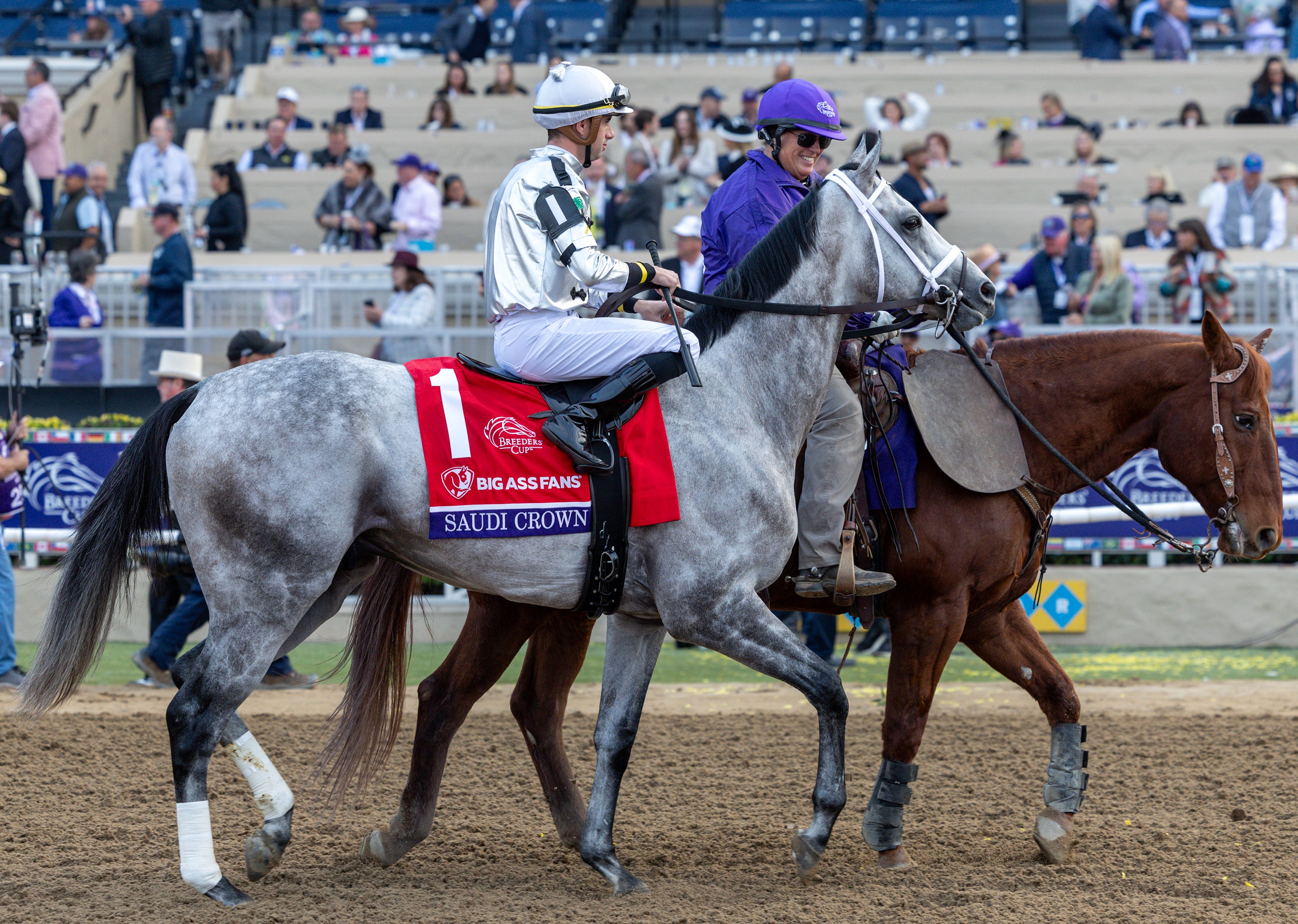 Saudi Crown opts in for Pegasus World Cup