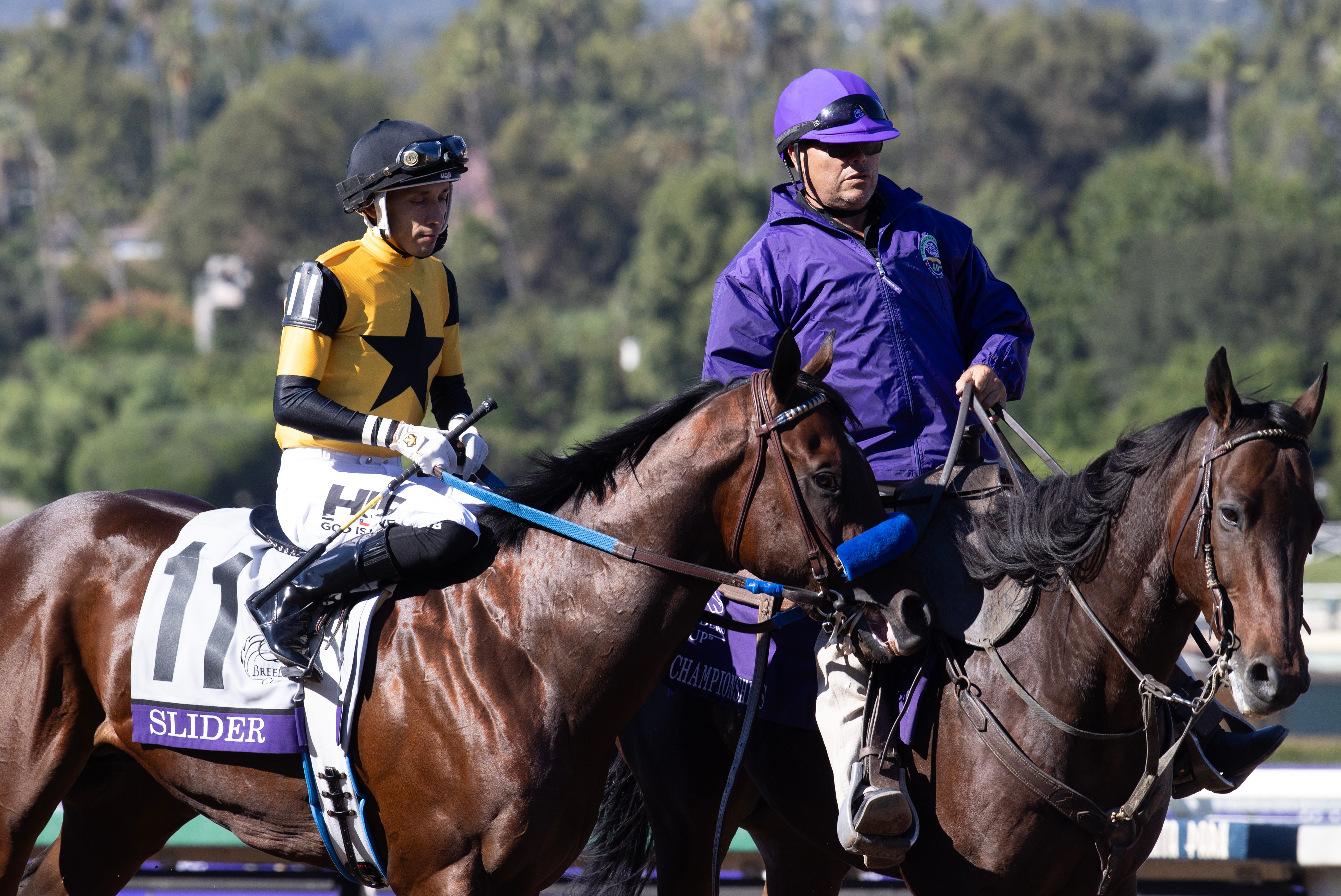 Northern California runners add depth to Friday card