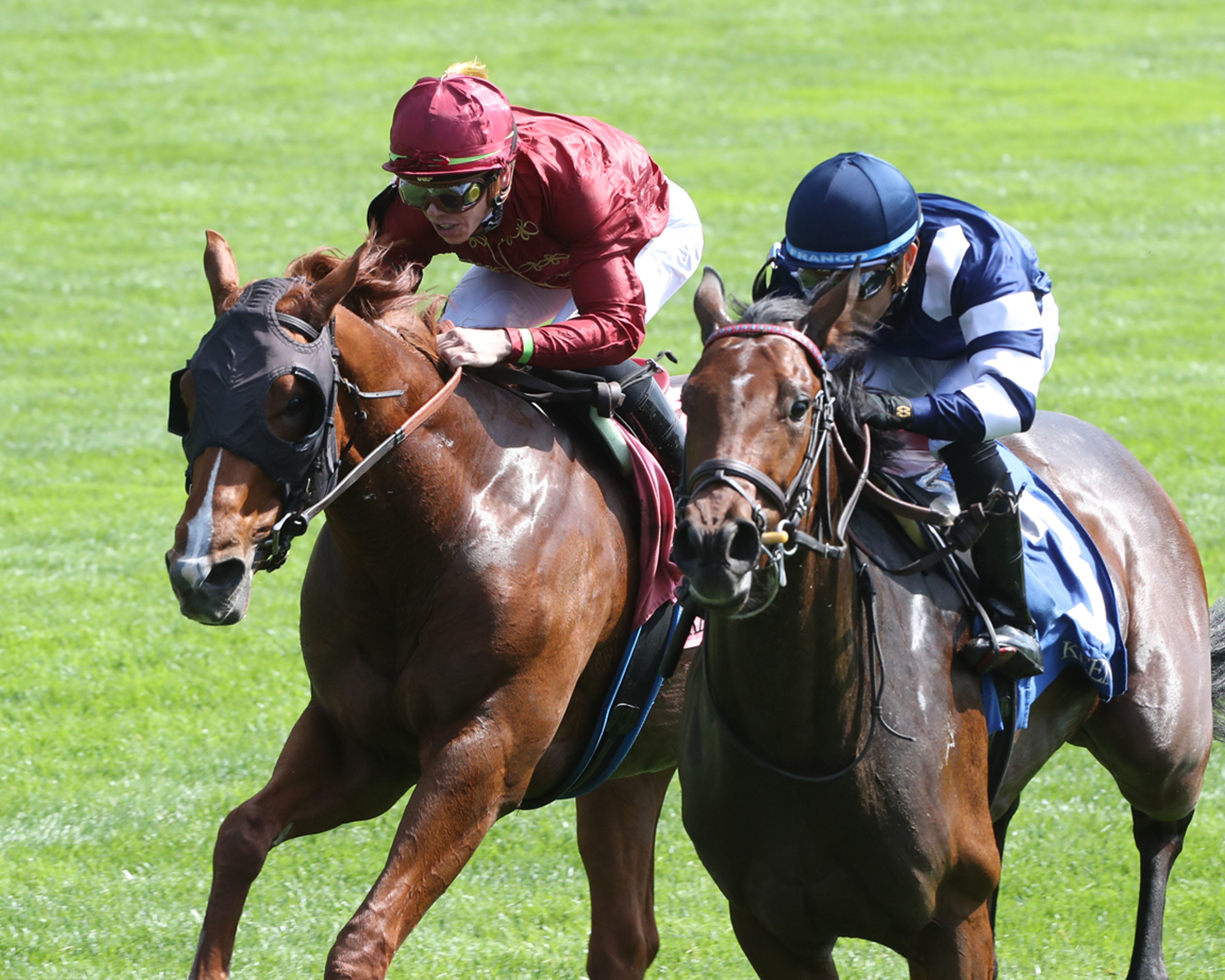 Test Score looks for a better trip in Kitten's Joy