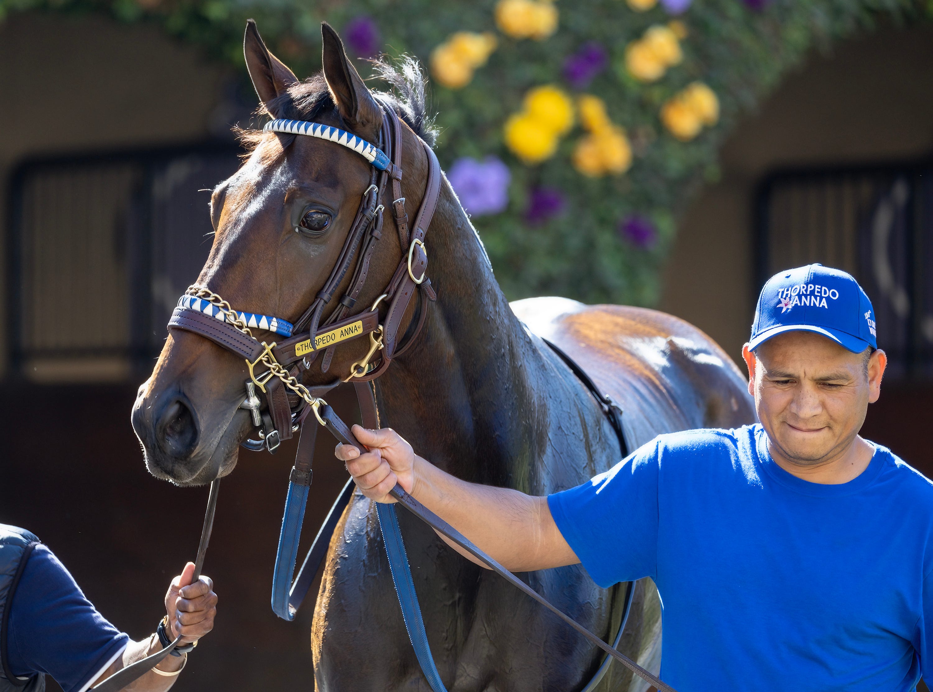 2024 Eclipse Awards: Thorpedo Anna, Sierra Leone top finalists