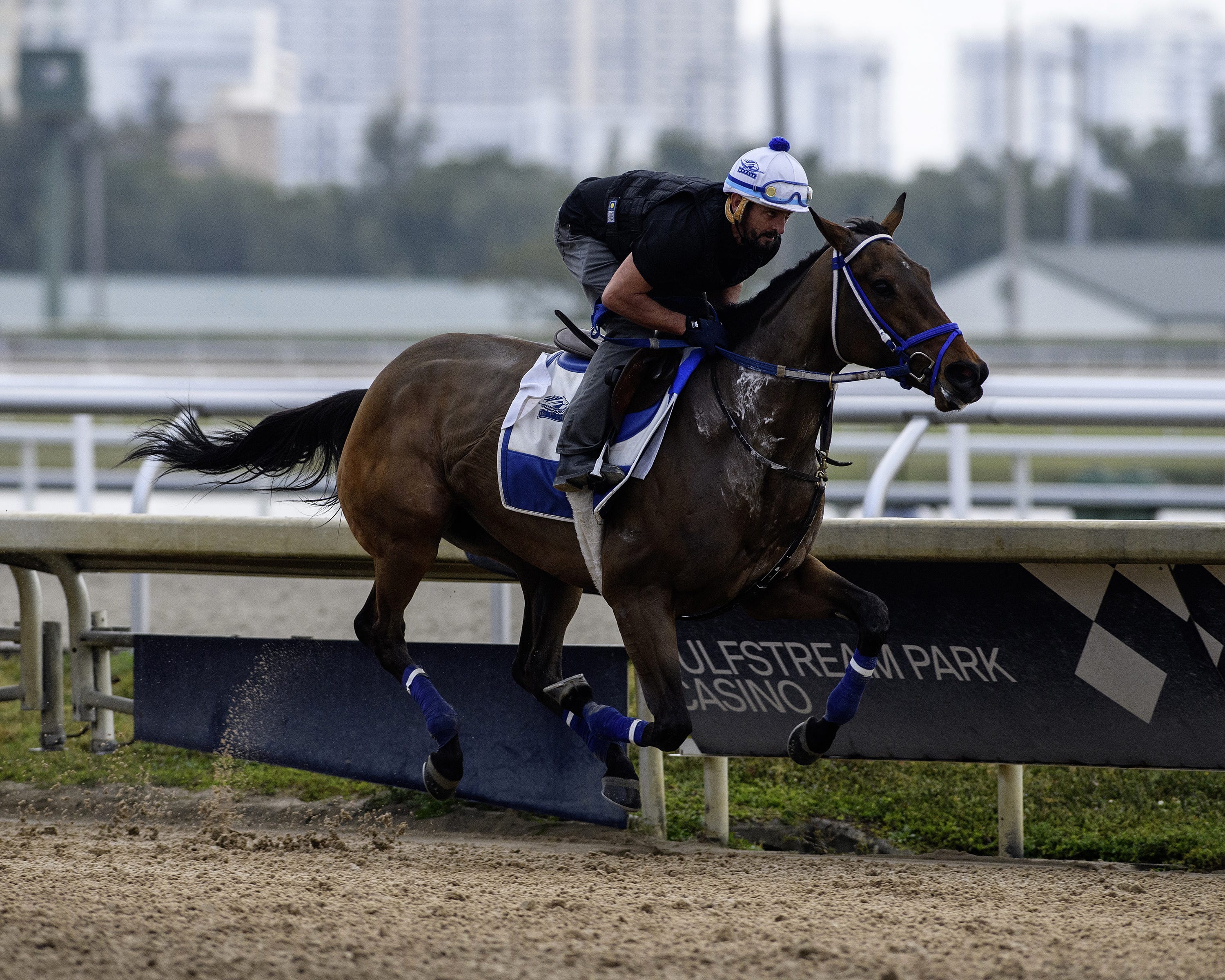 Thorpedo Anna ramps up preparations; possible for Azeri, Dubai World Cup