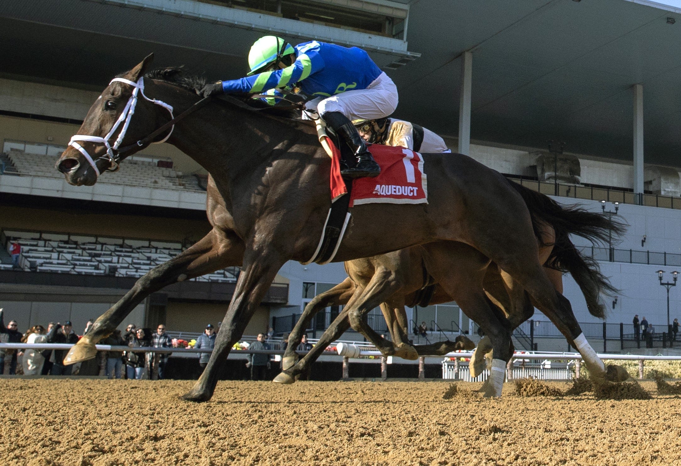 Tizzy in the Sky checks all the boxes in Ladies Stakes