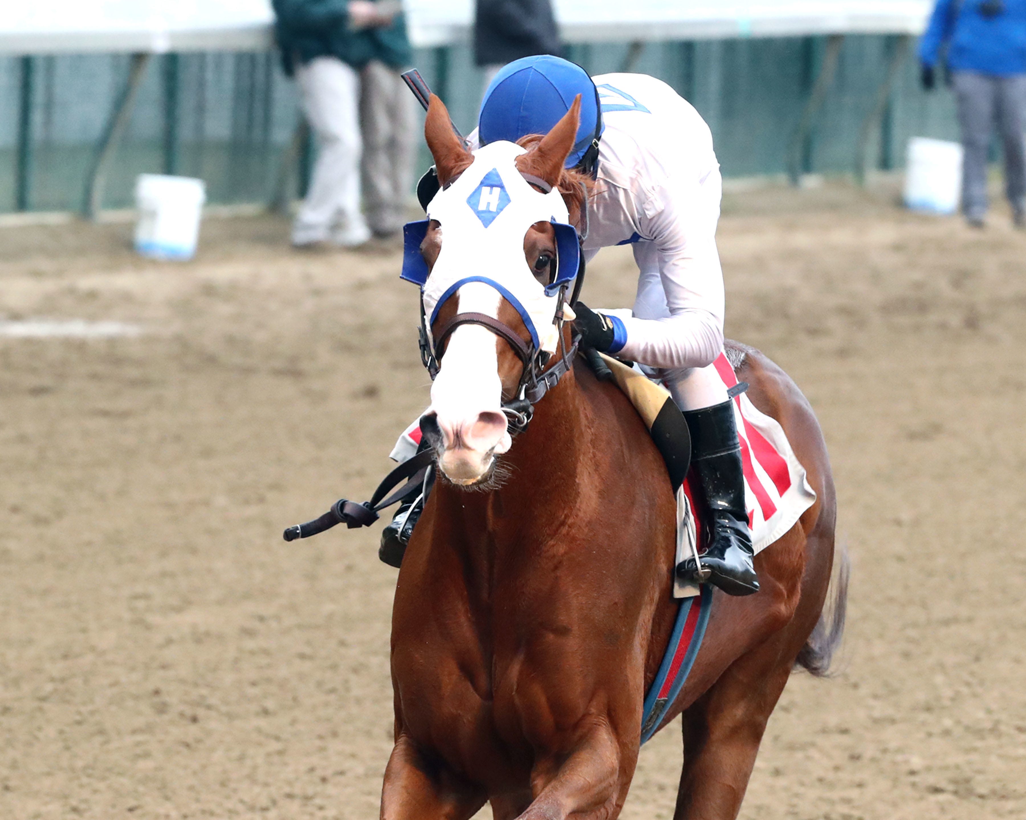 Hartman, Bejarano look tough again with What's Up Doc