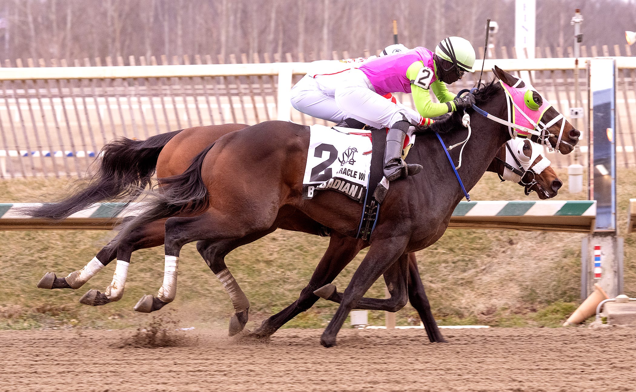 Barbadian Runner noses out Pay Billy to win Miracle Wood