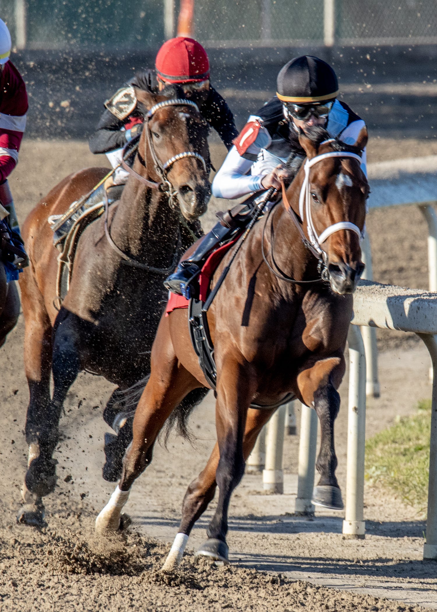 Built a surprise entry in Risen Star Stakes