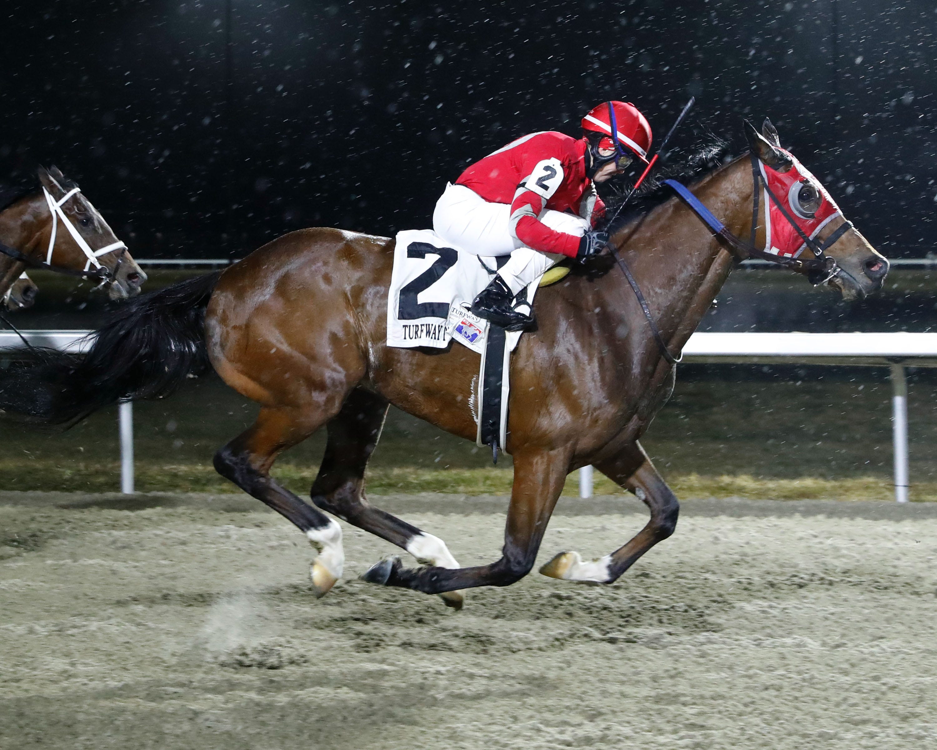 Late-blooming Chiron scores second big upset of Turfway meet in Dust ...
