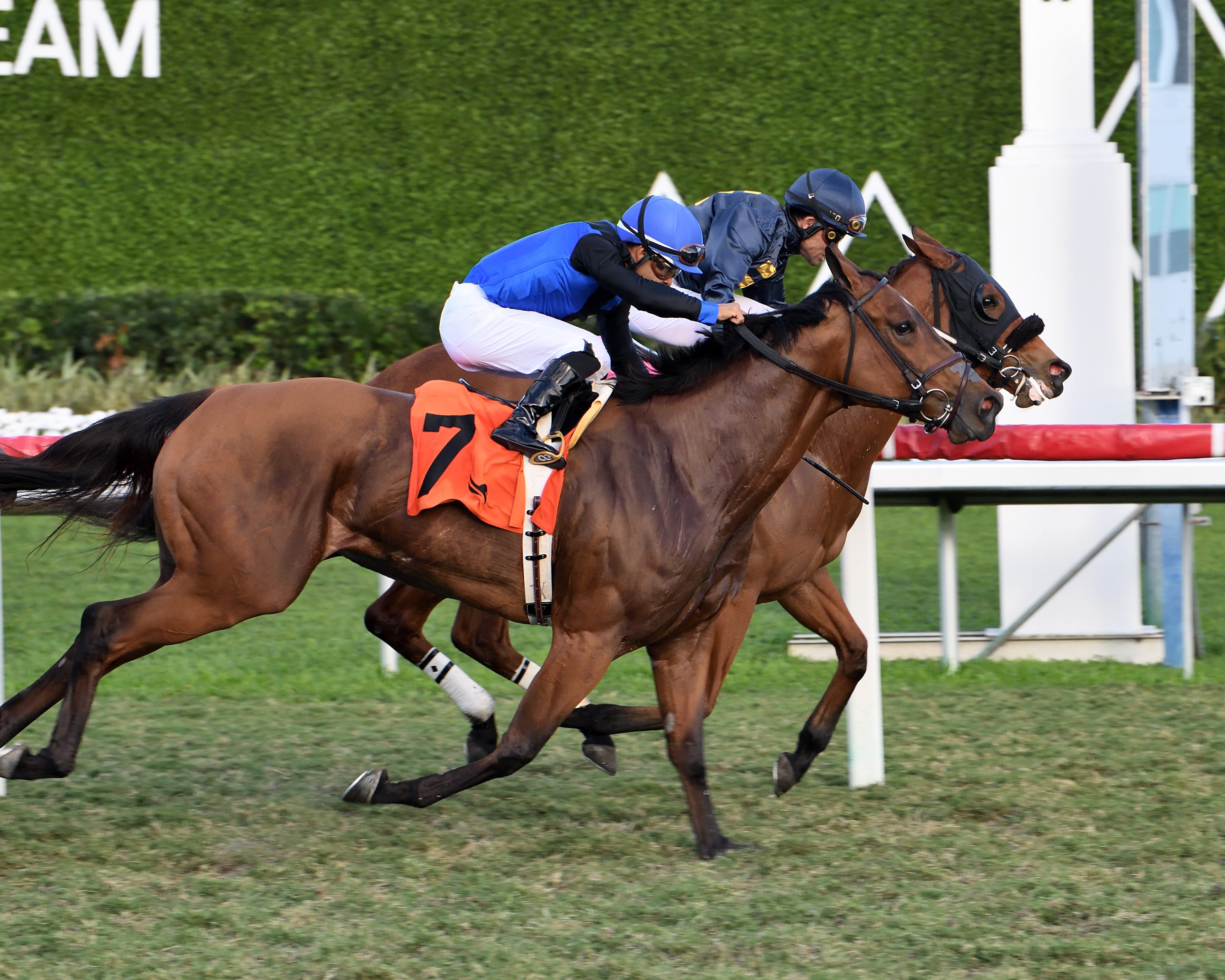 Epona's Hope dominates Ladies' Turf Sprint