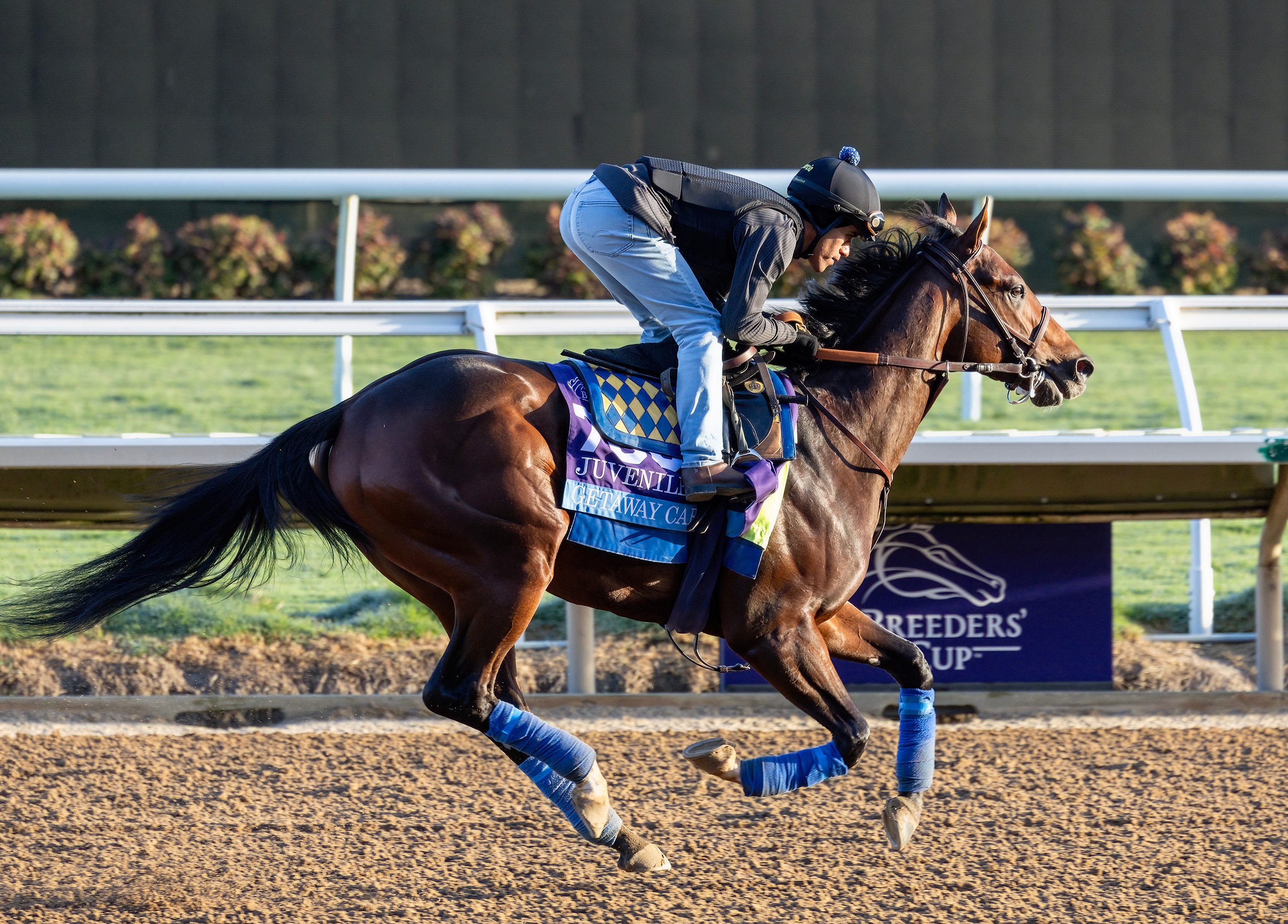 Getaway Car to skip Saudi Derby, targets Sunland Park Derby