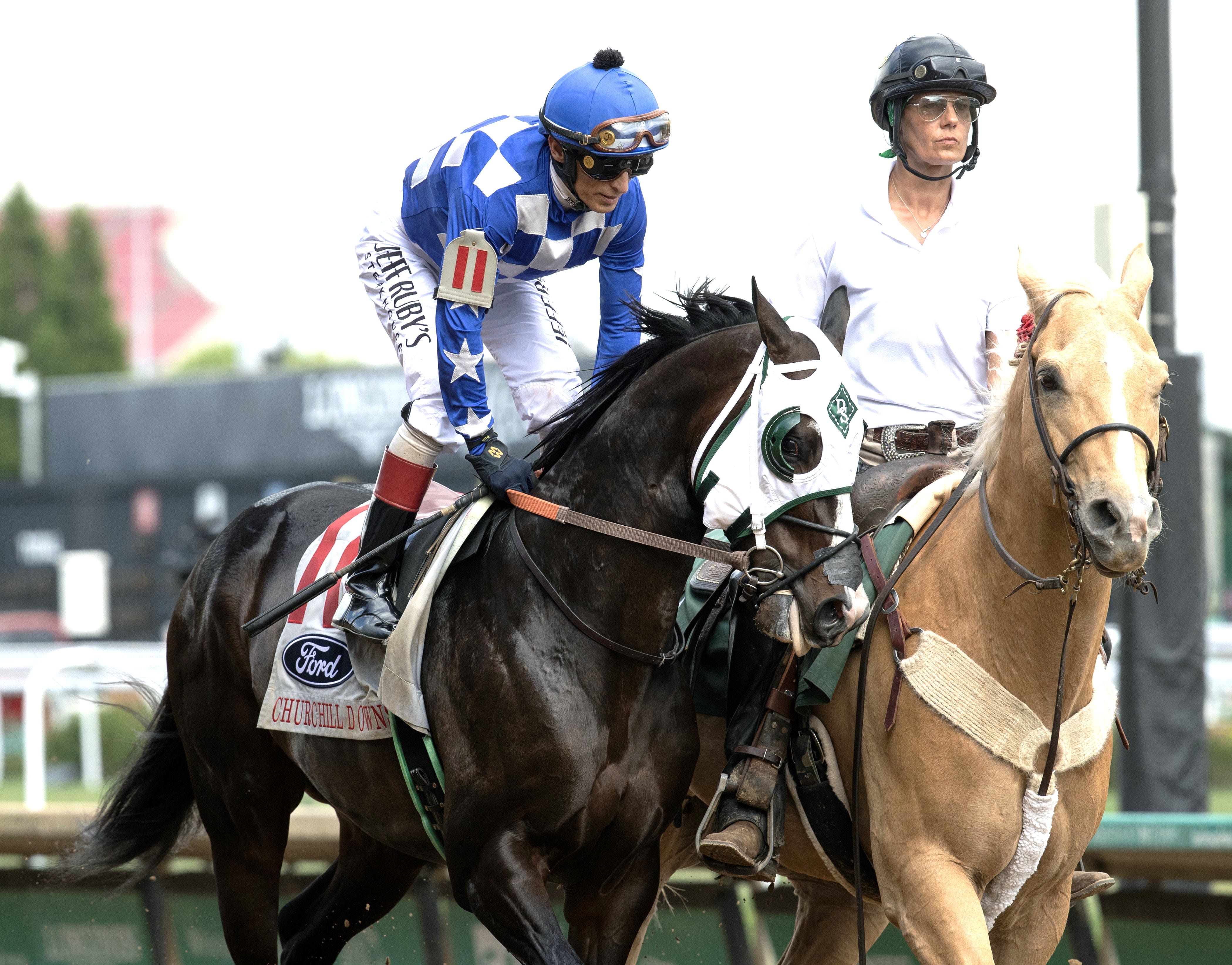 Hoist the Gold seeking form of old as he begins comeback