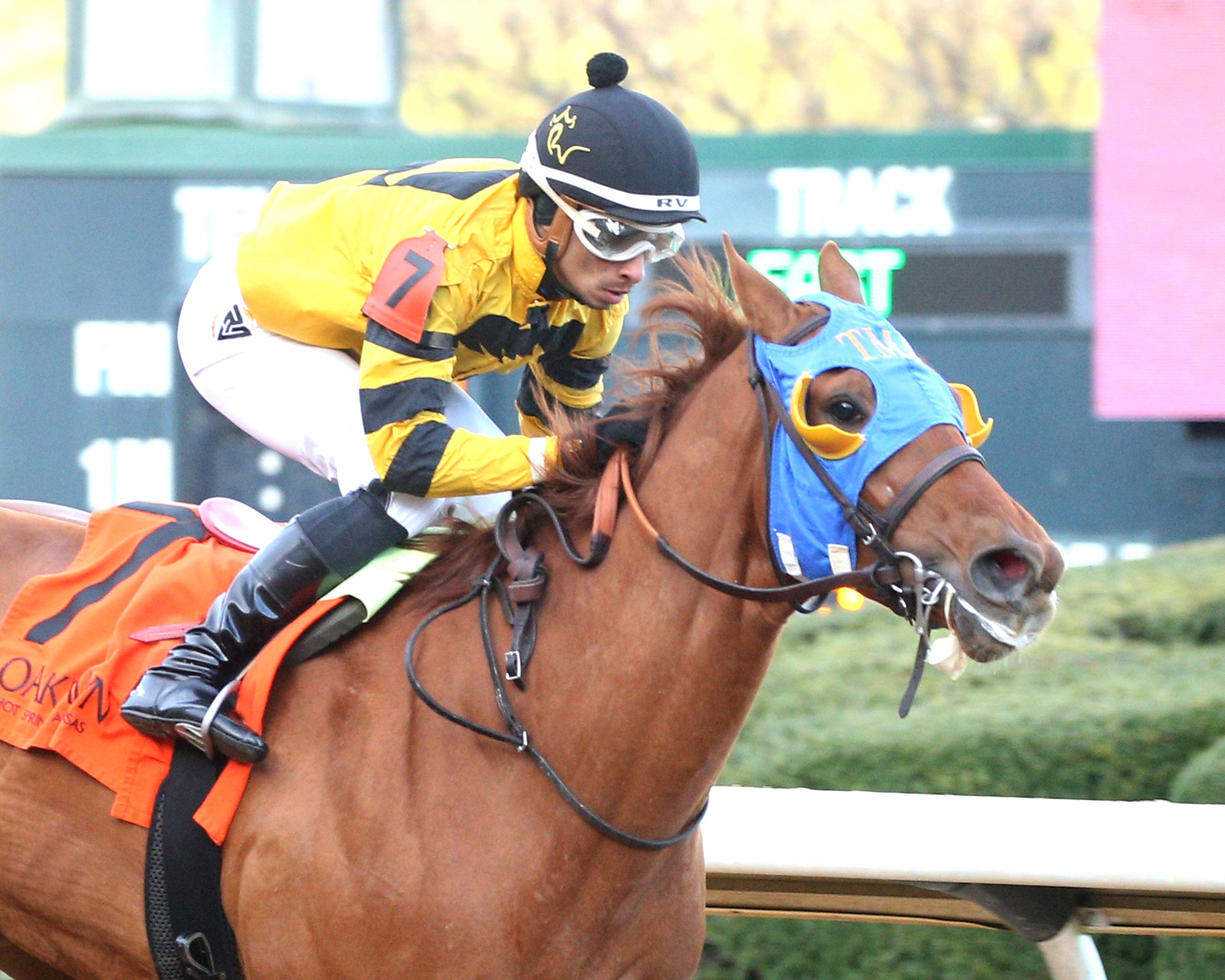 I Got Game pulls away to win Ozark in stakes debut