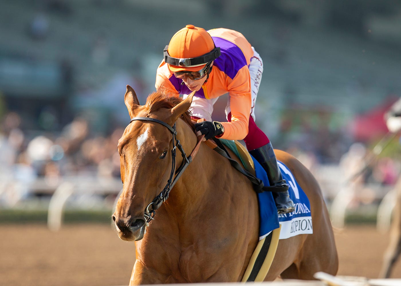 Kopion continues rebound with solid victory in Santa Monica Stakes