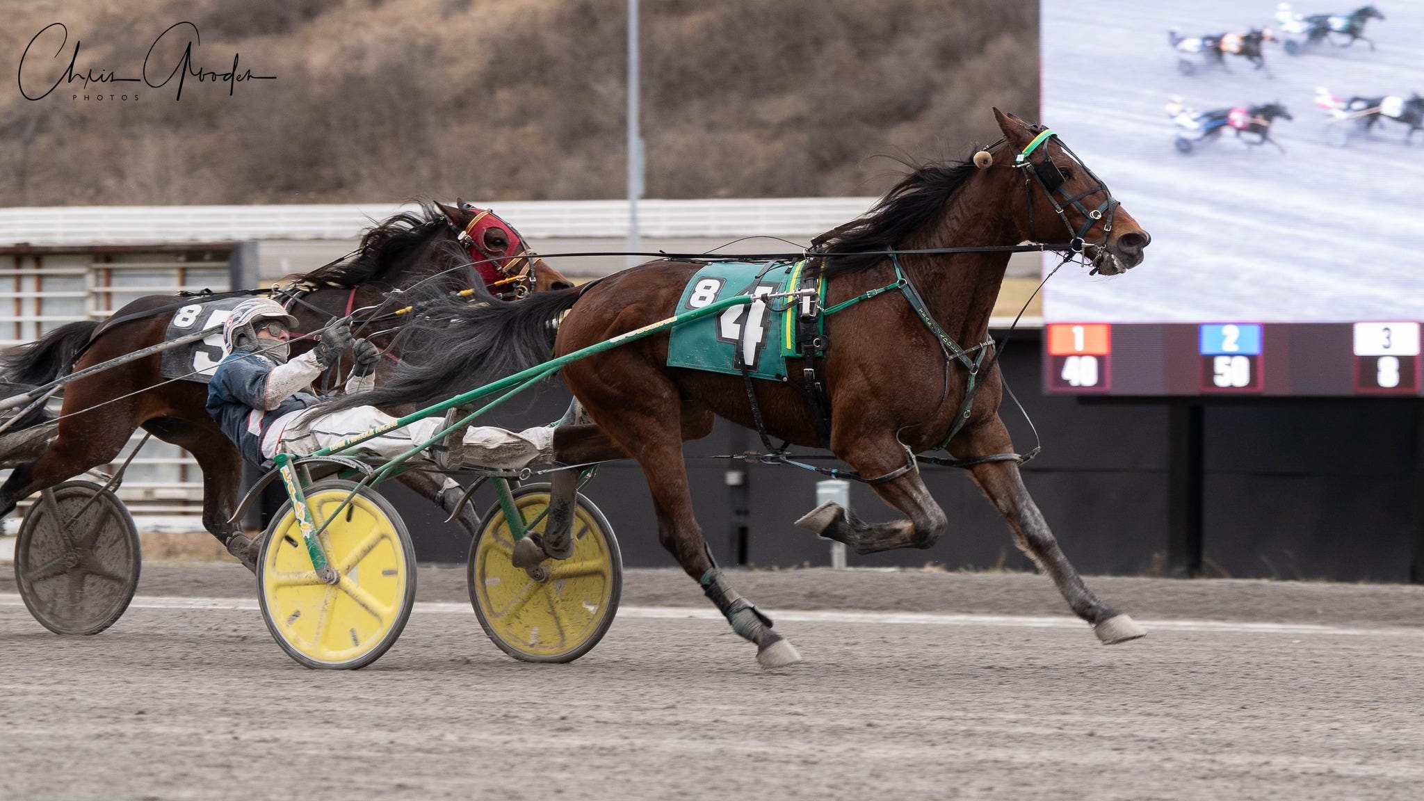 The Meadows: Looks Like Moni has been cashing in