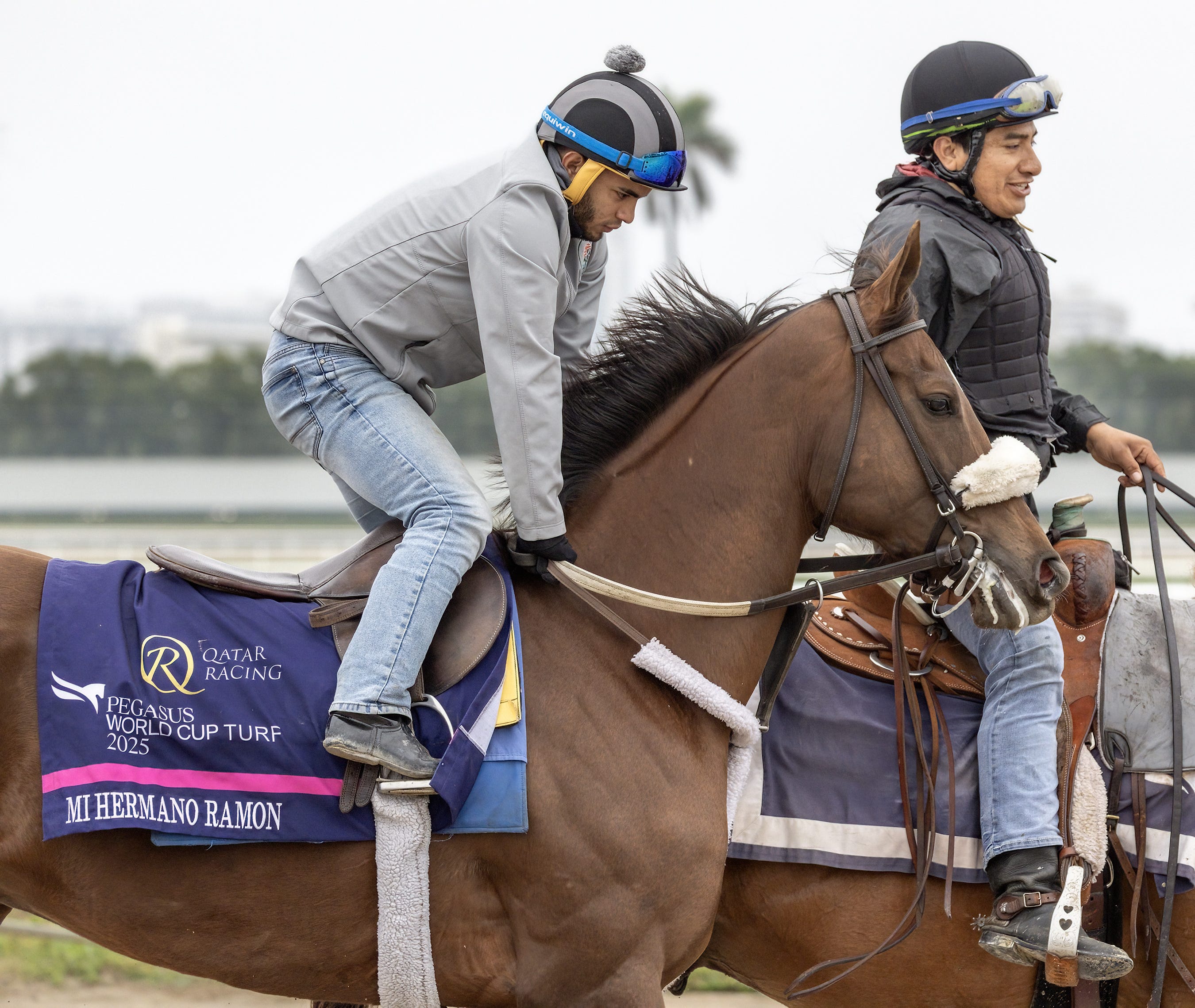 Mi Hermano Ramon has group of graded stakes winners to deal with in ...