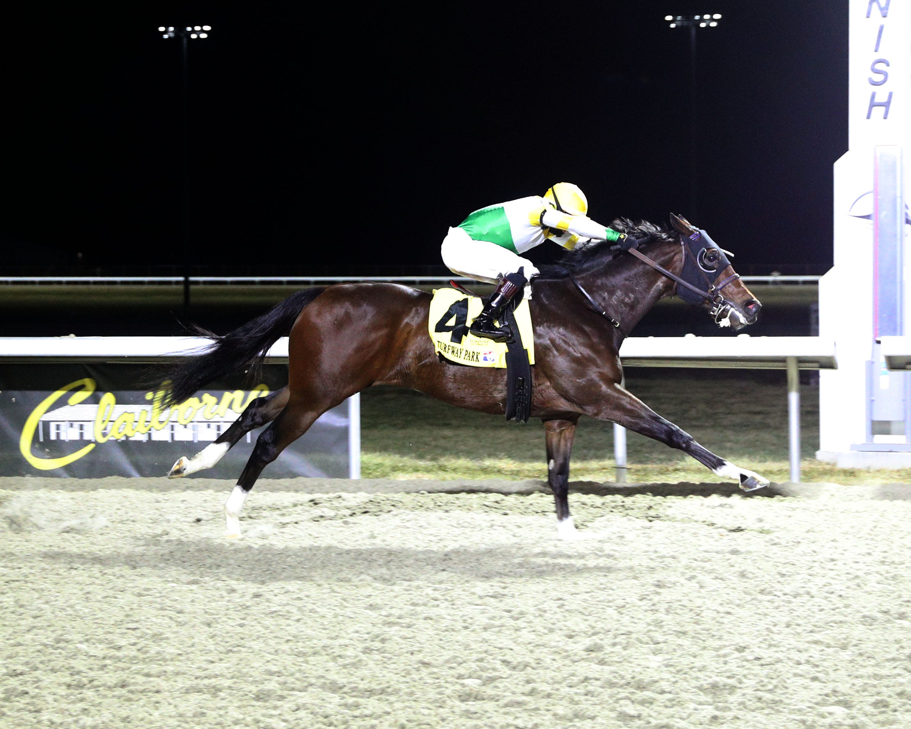 Forego Stakes: Playmea Tune comes up a winner in first trip away from home