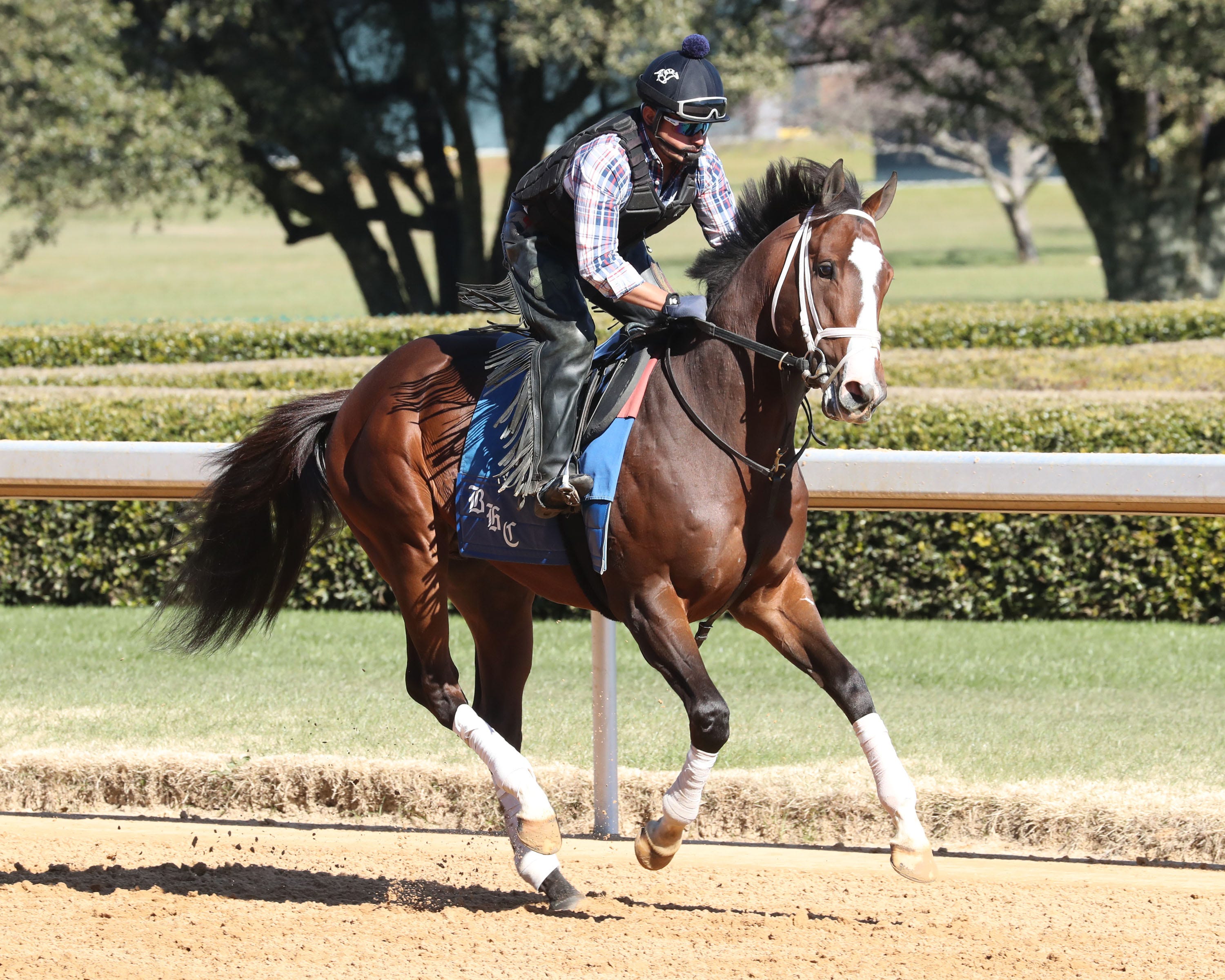 Kentucky Derby 2025: Cox still high on Patch Adams
