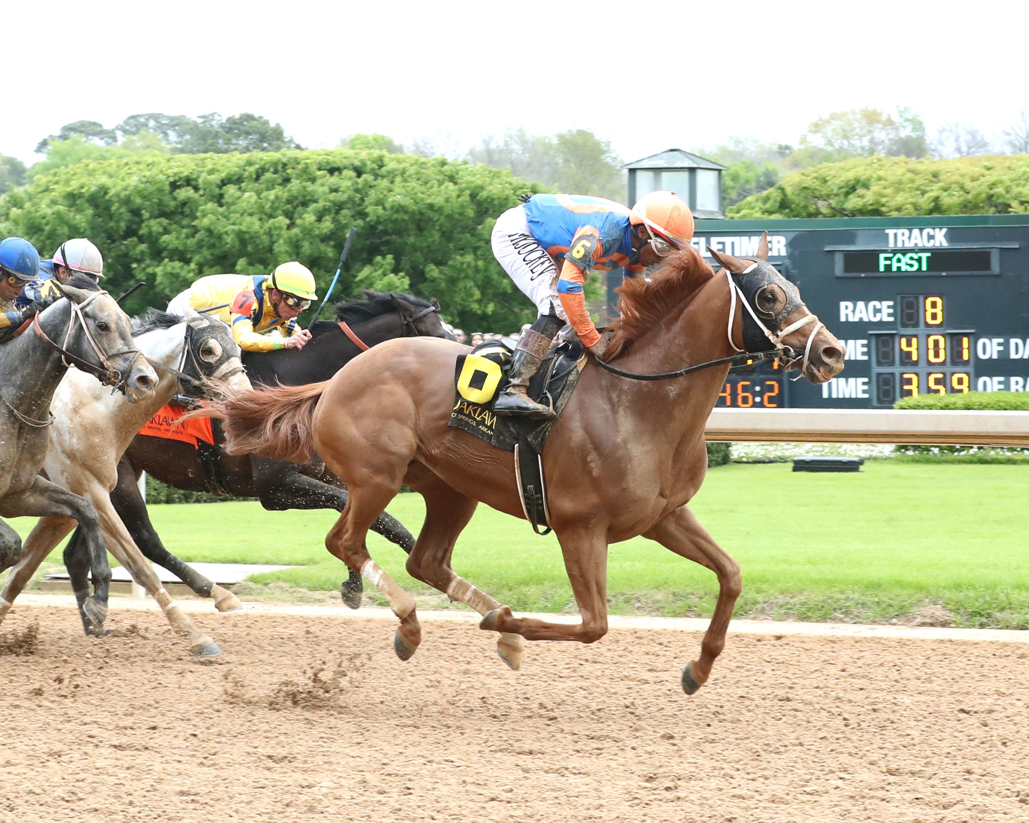 Winnin'onweekends looks to live up to his name on holiday card