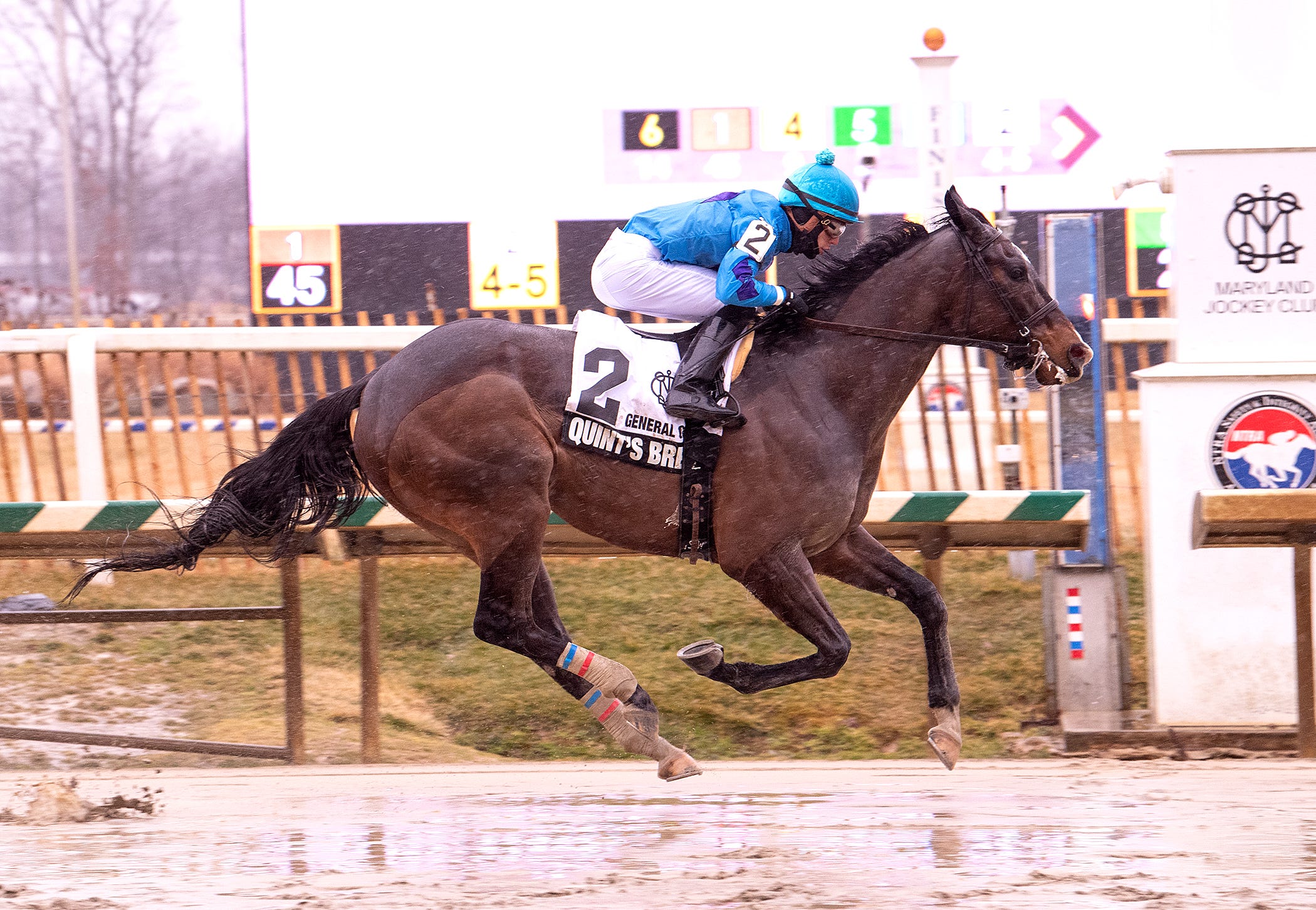 Quint's Brew again shows solid form with General George victory