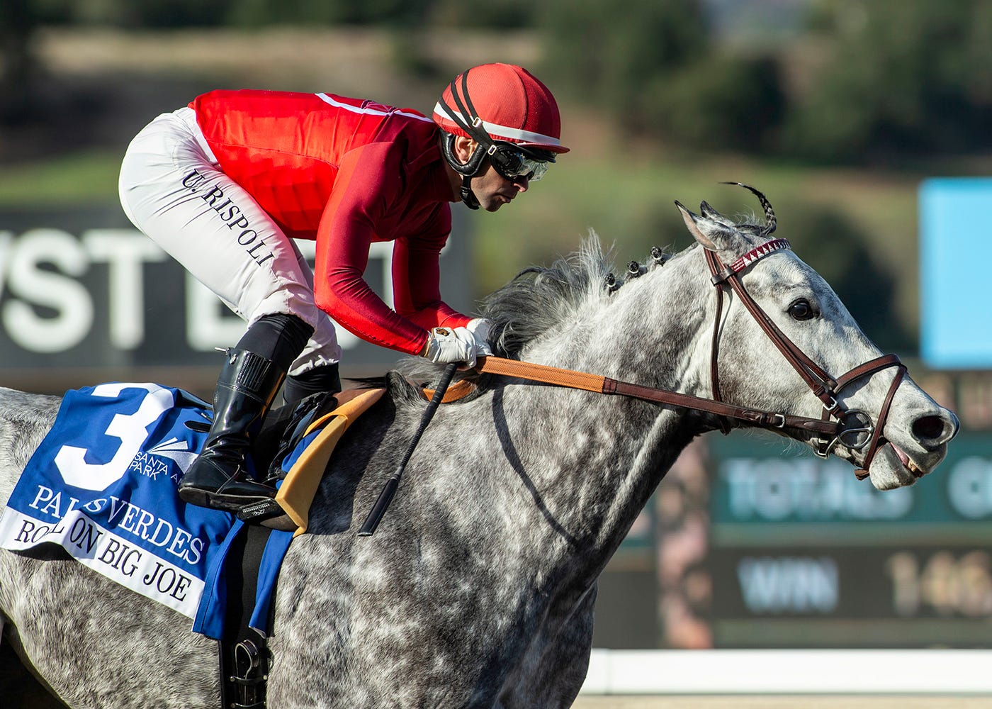 Roll On Big Joe's sudden change of plan pays off in Palos Verdes Stakes
