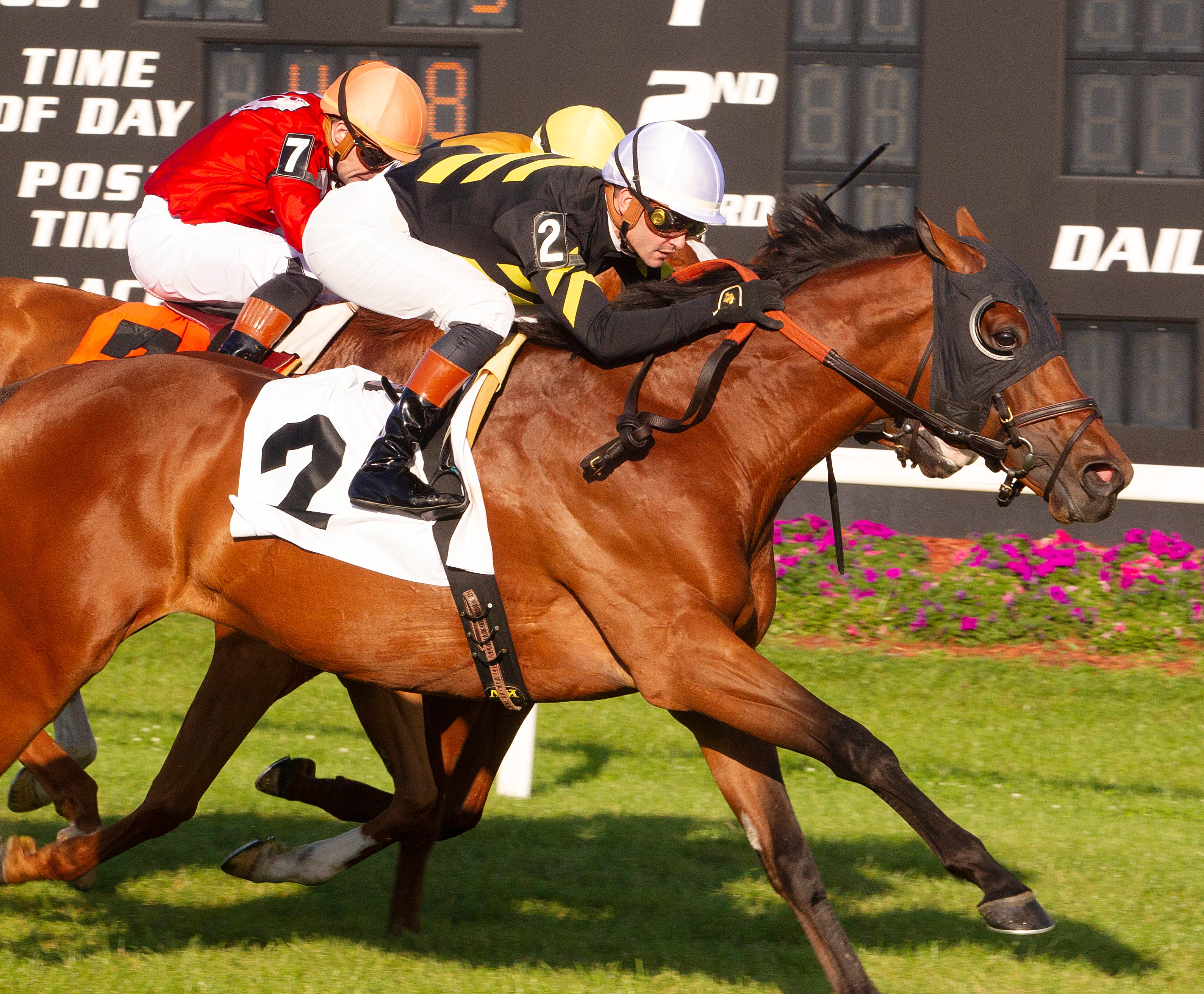 Running Bee's win in Tampa Bay Downs Stakes caps good day for Brown, Prat