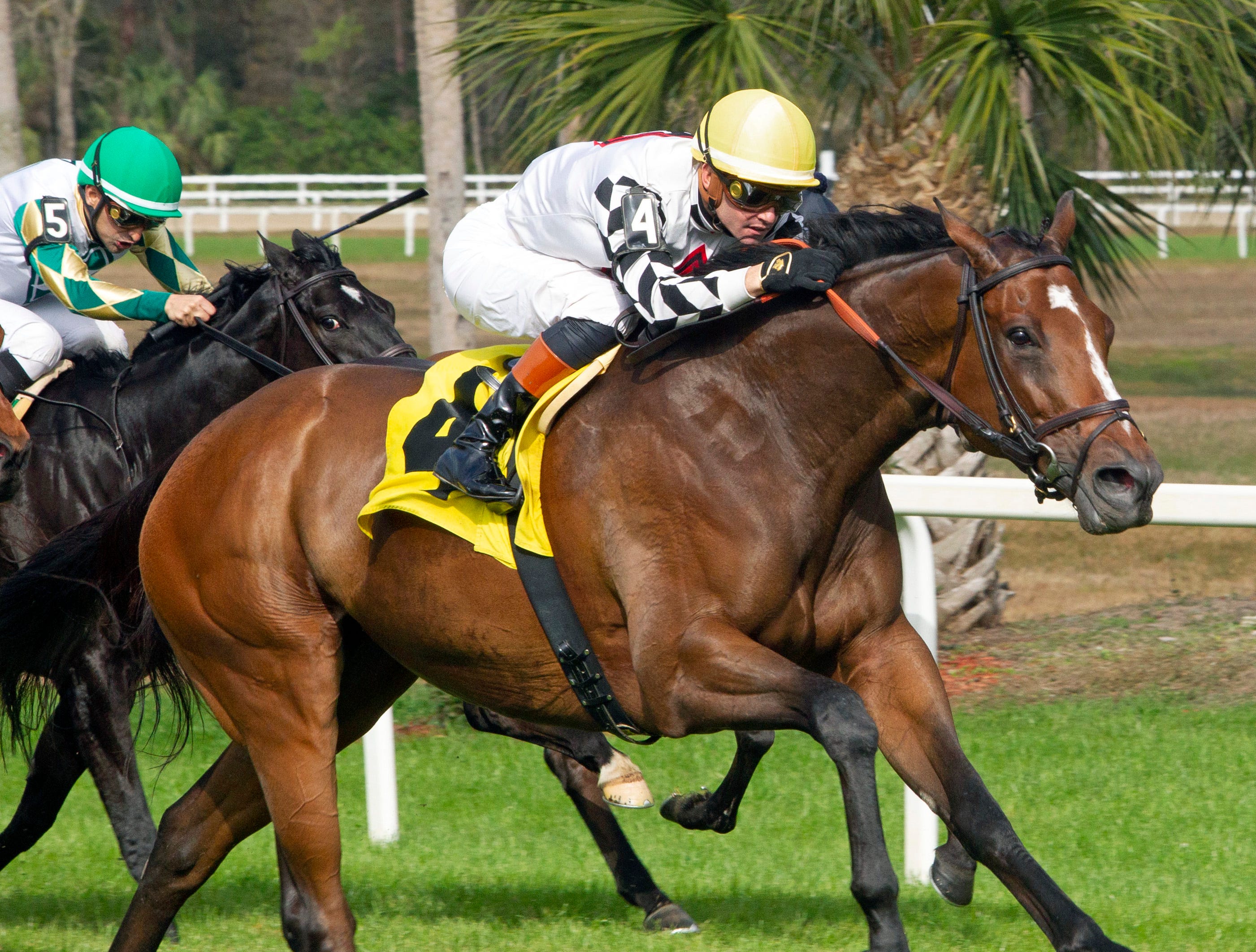 Saffron Moon sets record with first stakes triumph in Endeavour