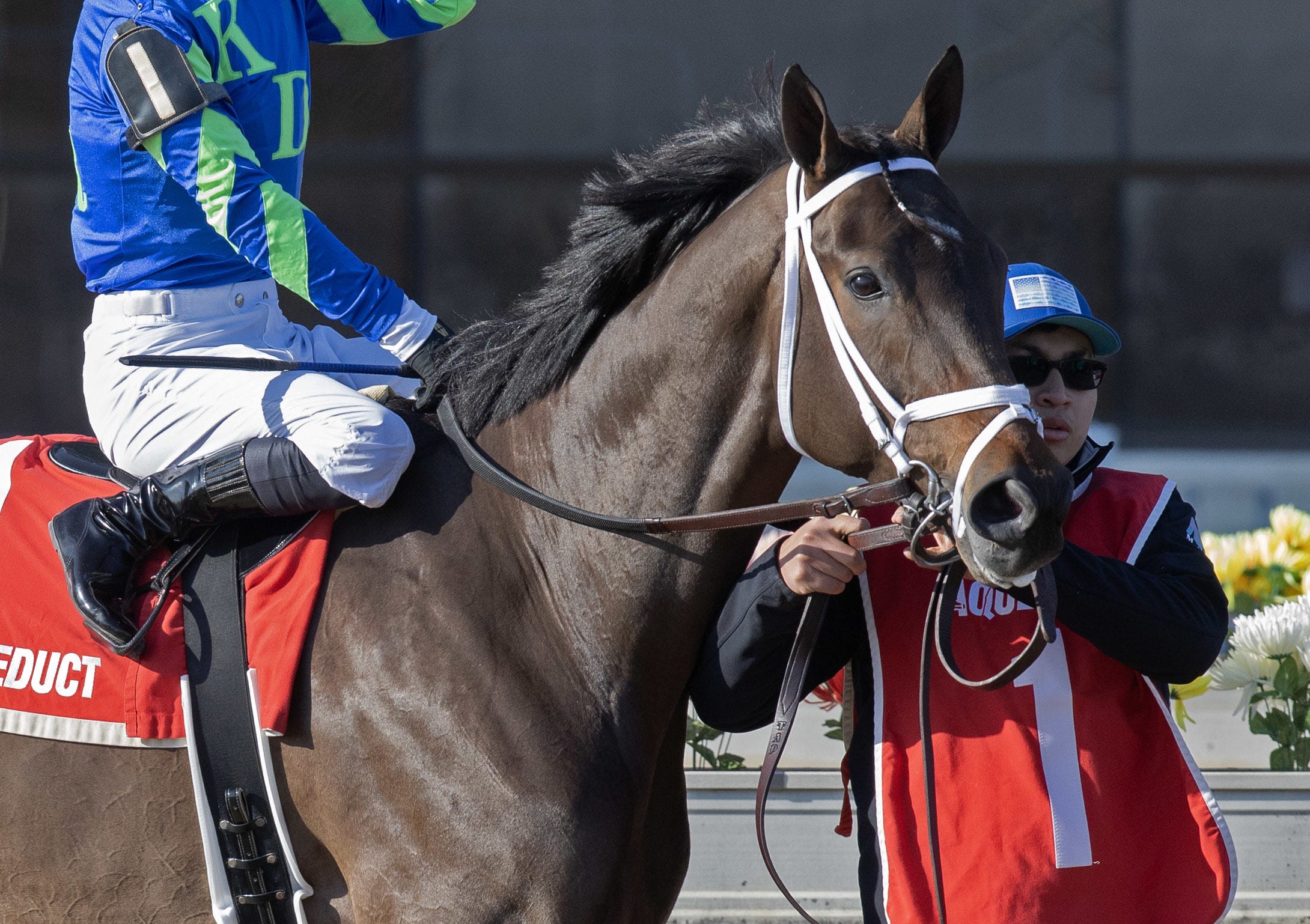 Tizzy in the Sky retired; will be bred to Not This Time