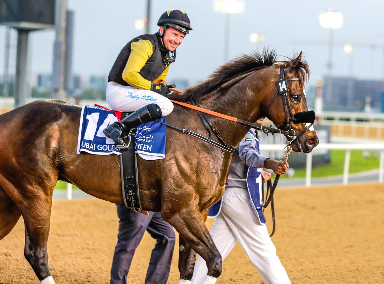 Super Saturday a local prep opportunity for the Dubai World Cup card