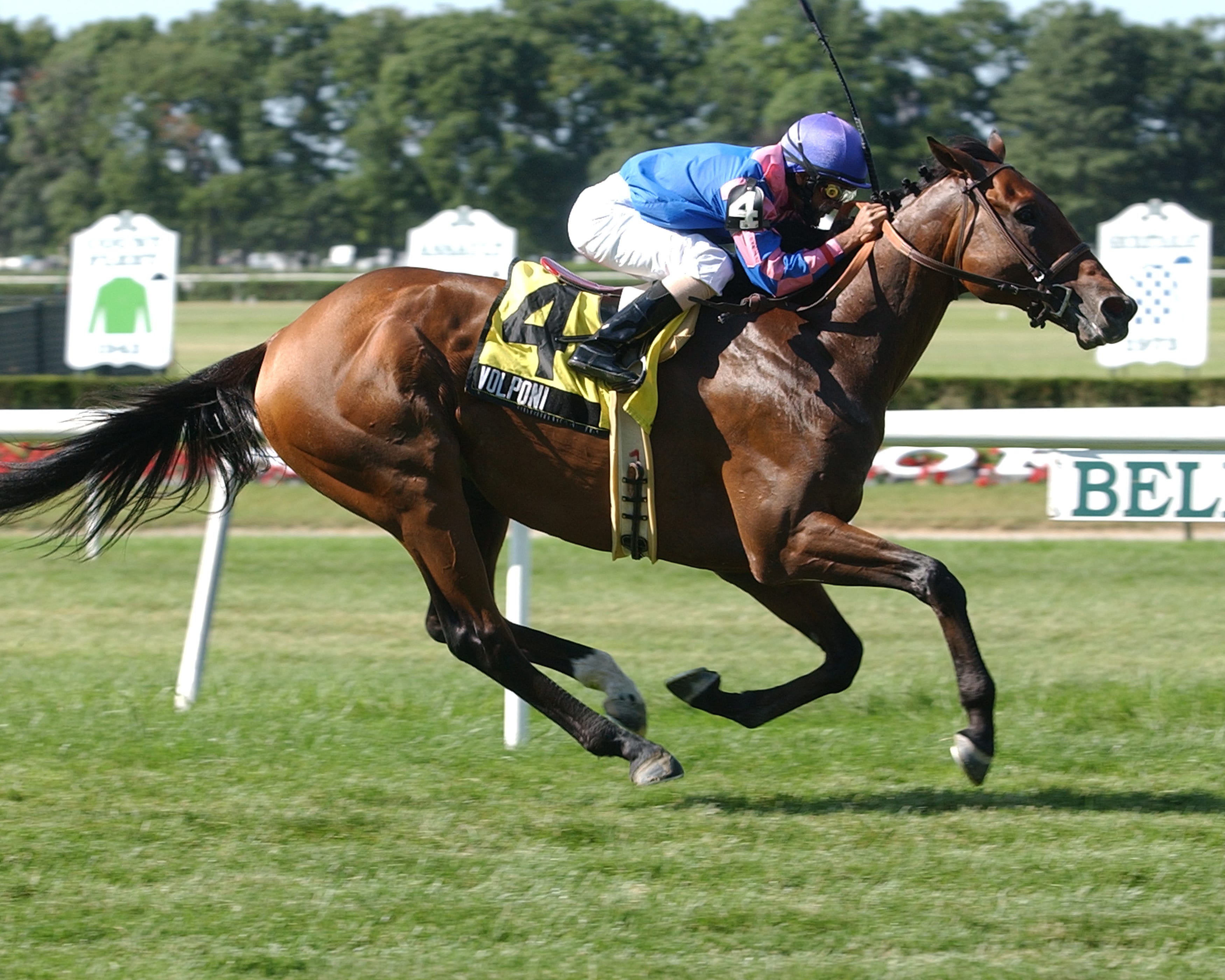 Breeders' Cup Classic winner Volponi dead at 27