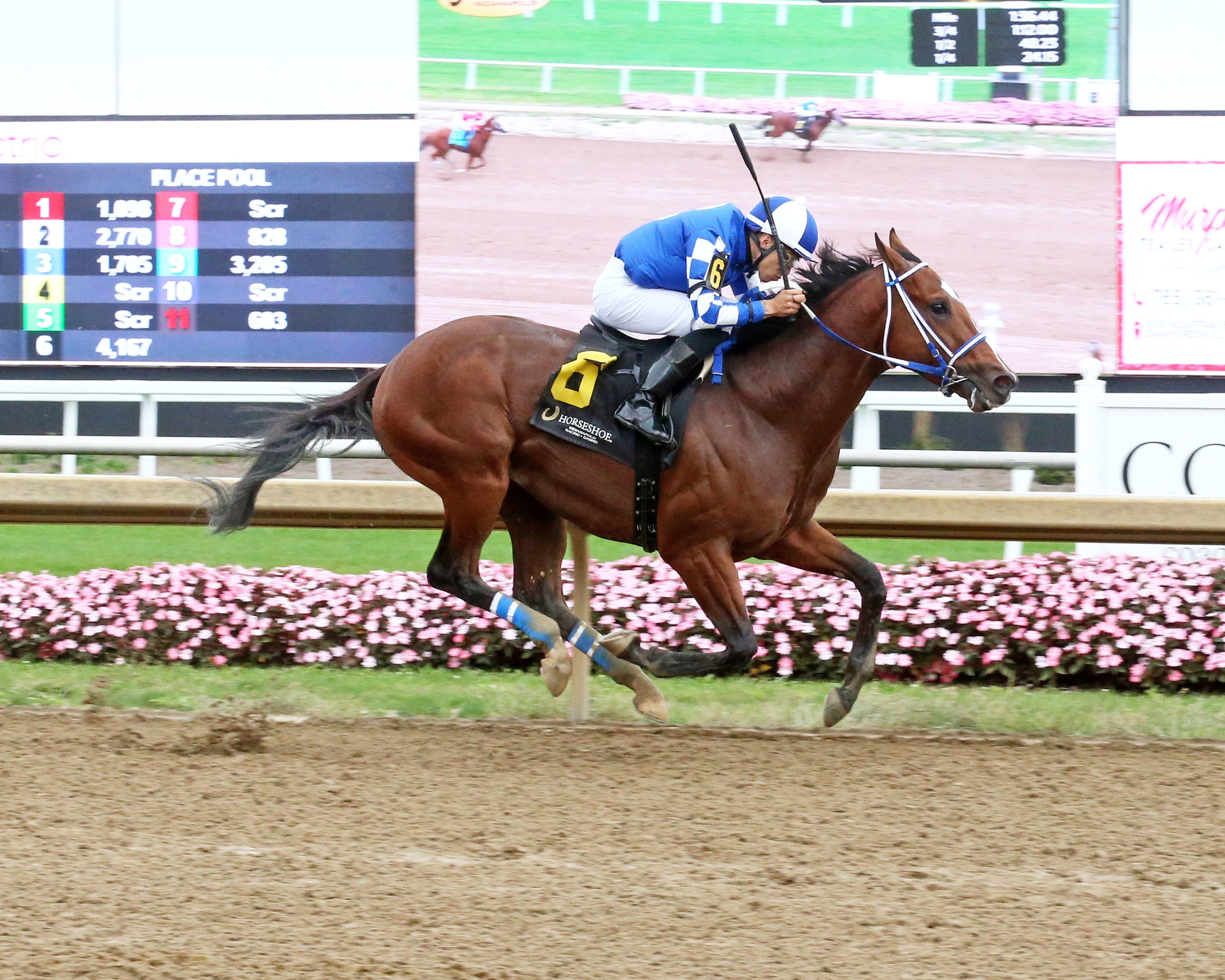 Woodcourt aims to take another step forward in competitive allowance