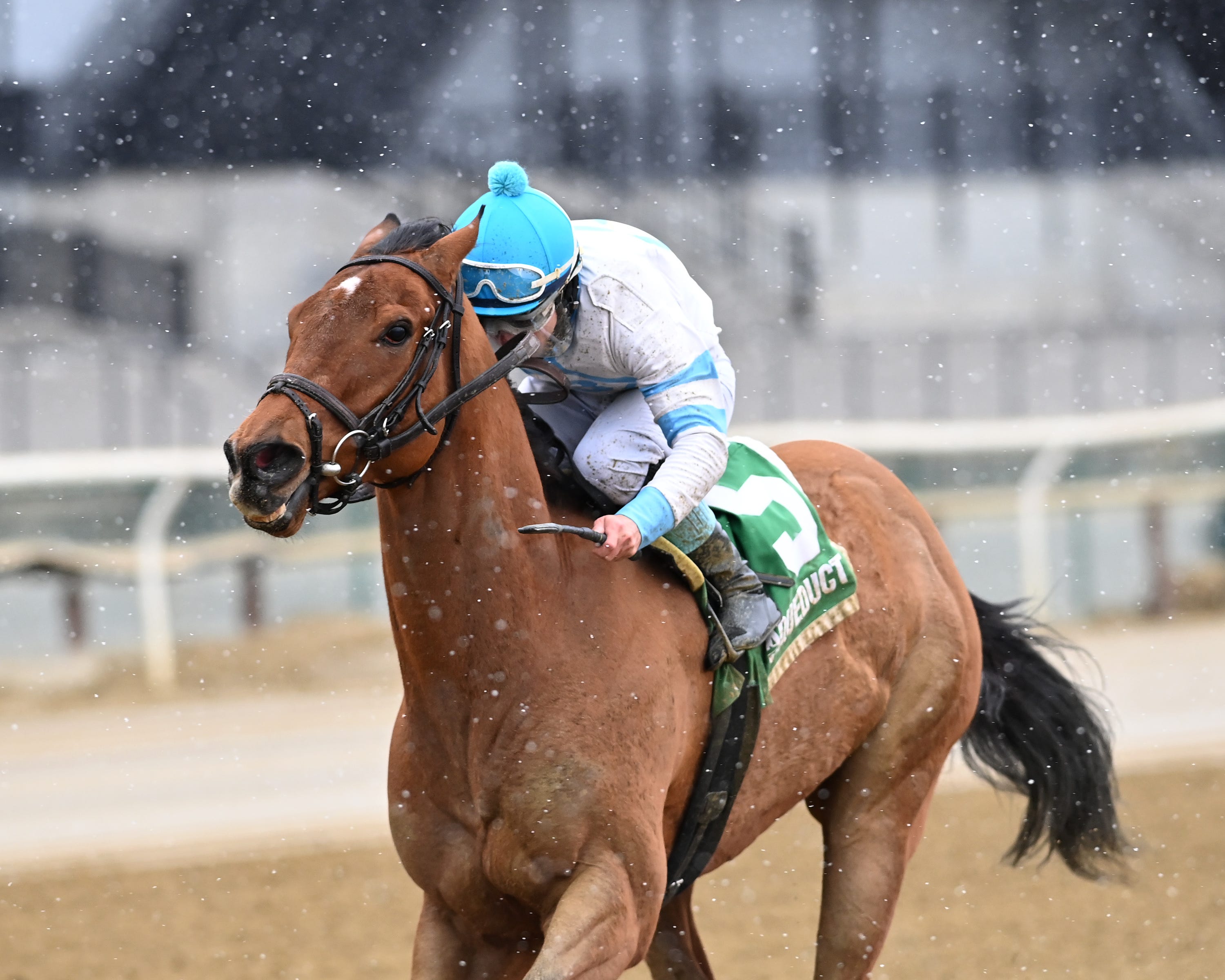 Sheriff Bianco rallies late for upset in Say Florida Sandy