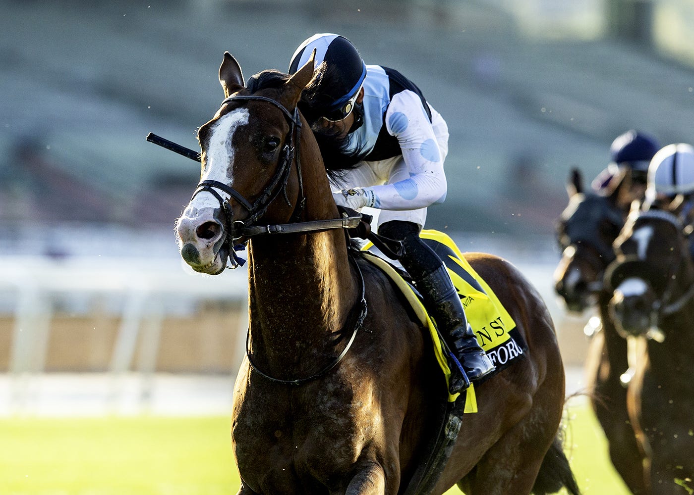 Air Force Red to get break after San Simeon win on short rest