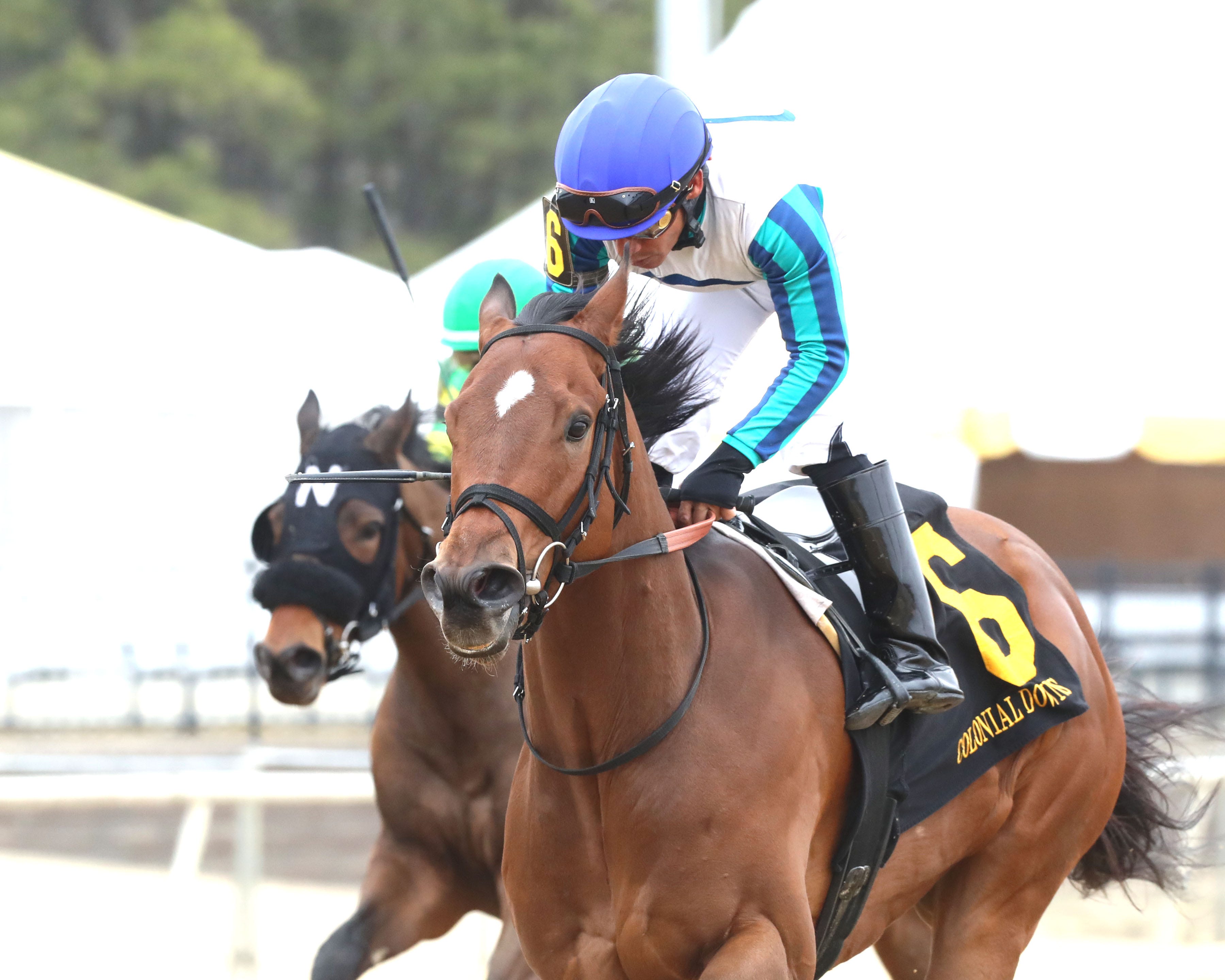 Book'em Danno scares off competition prior to Boston Handicap win